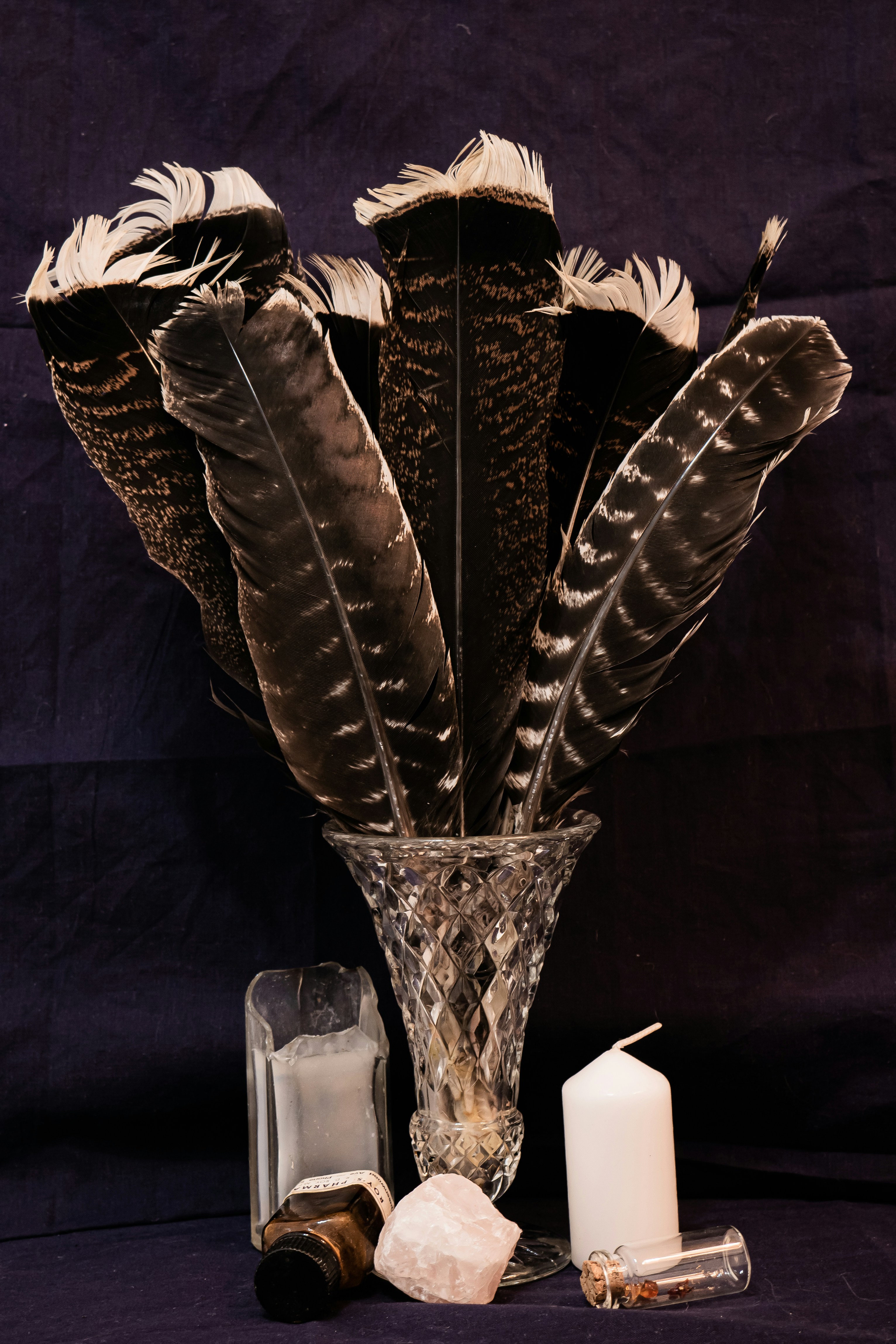 A collection of striking feathers arranged in a crystal vase, accompanied by a candle, a crystal, and a small bottle, set against a dark backdrop.