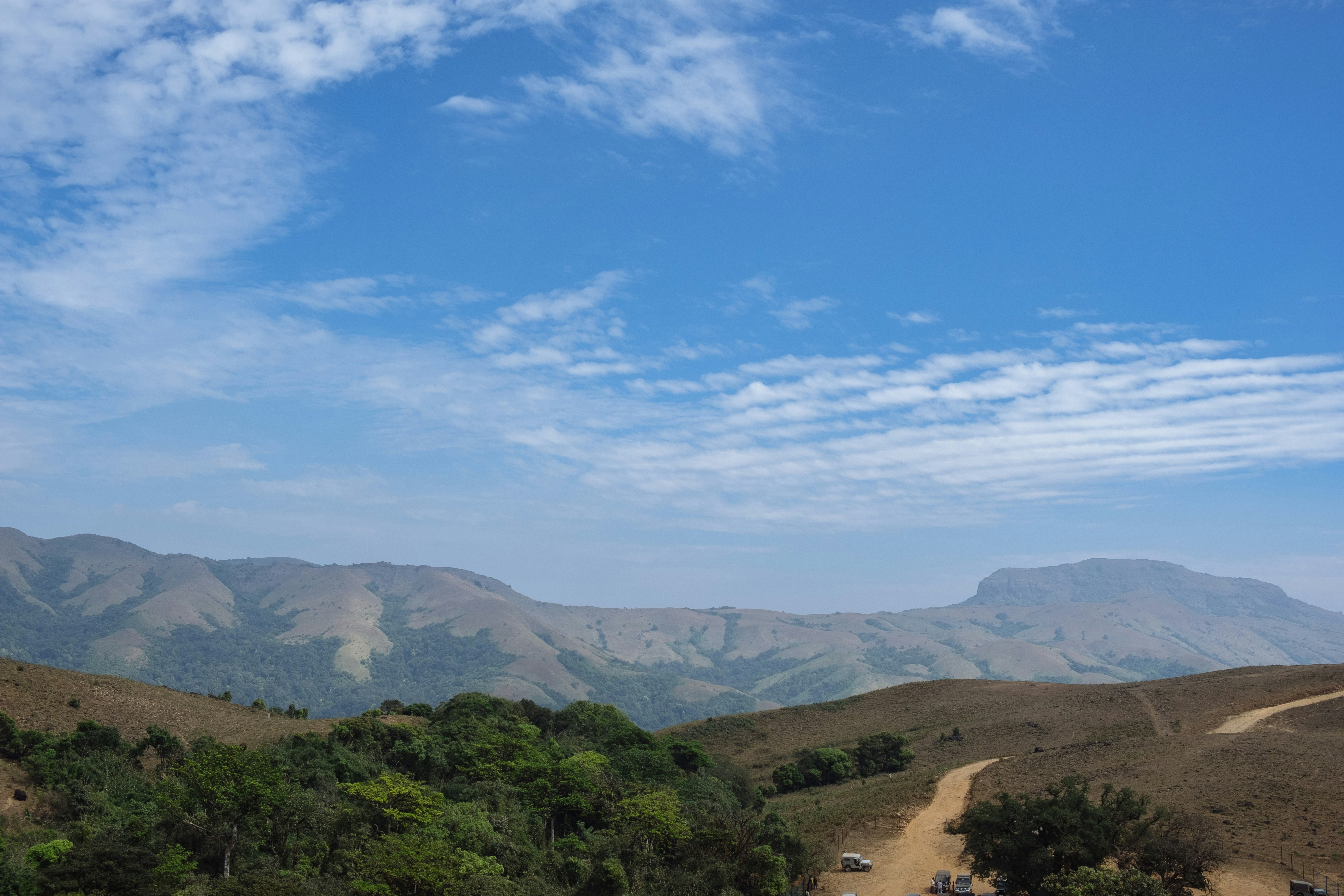 Expansive view of rolling hills under a vibrant blue sky with wispy clouds and a dirt road winding through lush greenery.