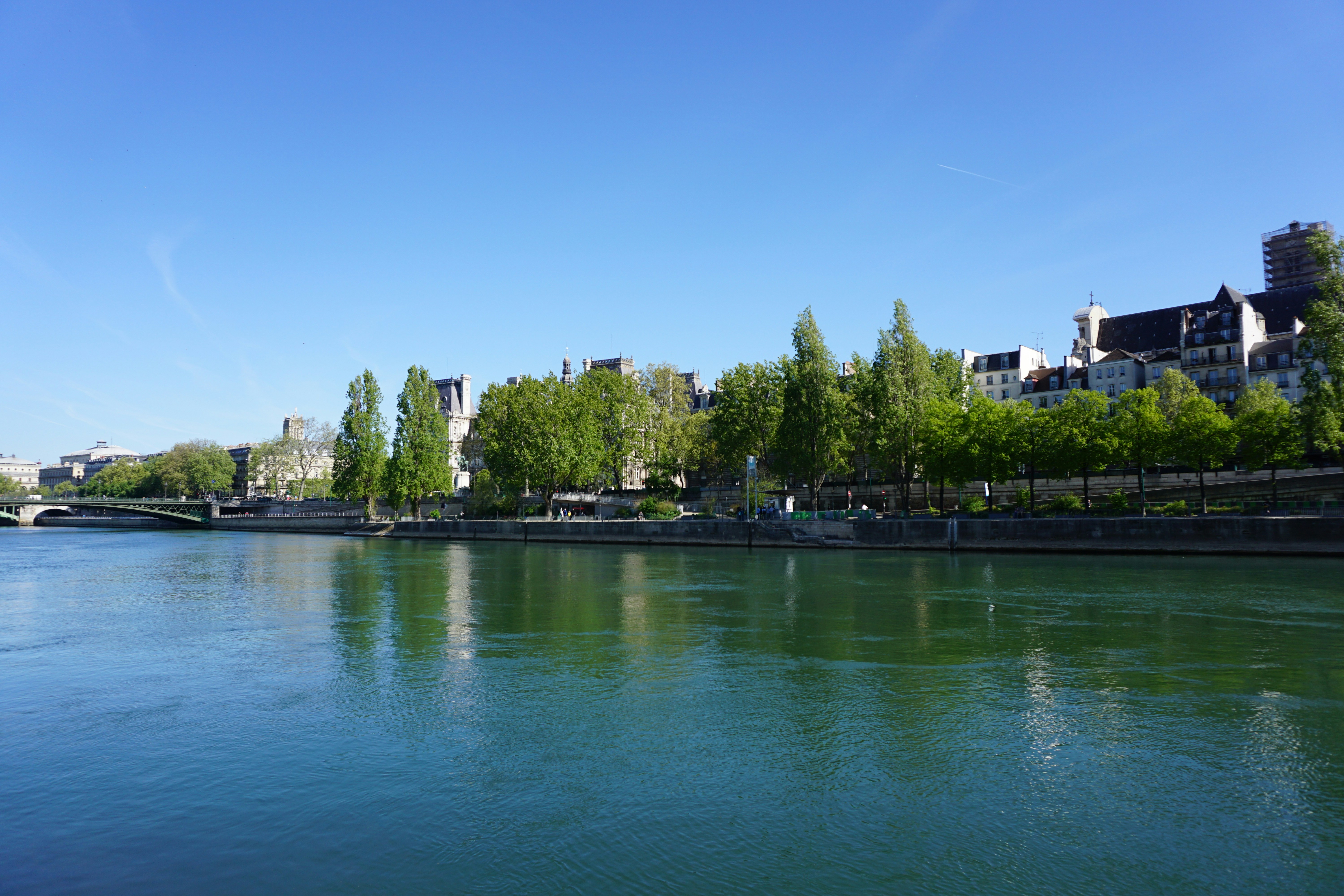 green trees near body of water under blue sky during daytime