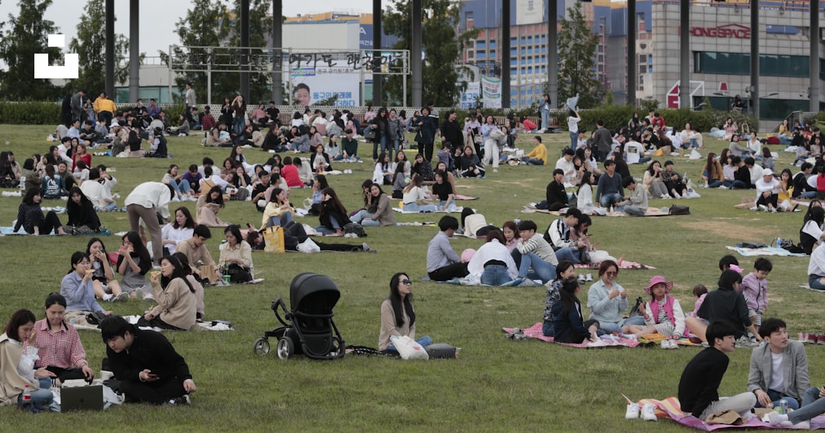 낮에 푸른 잔디밭에 앉아 있는 사람들 사진 Unsplash의 무료 풀 이미지