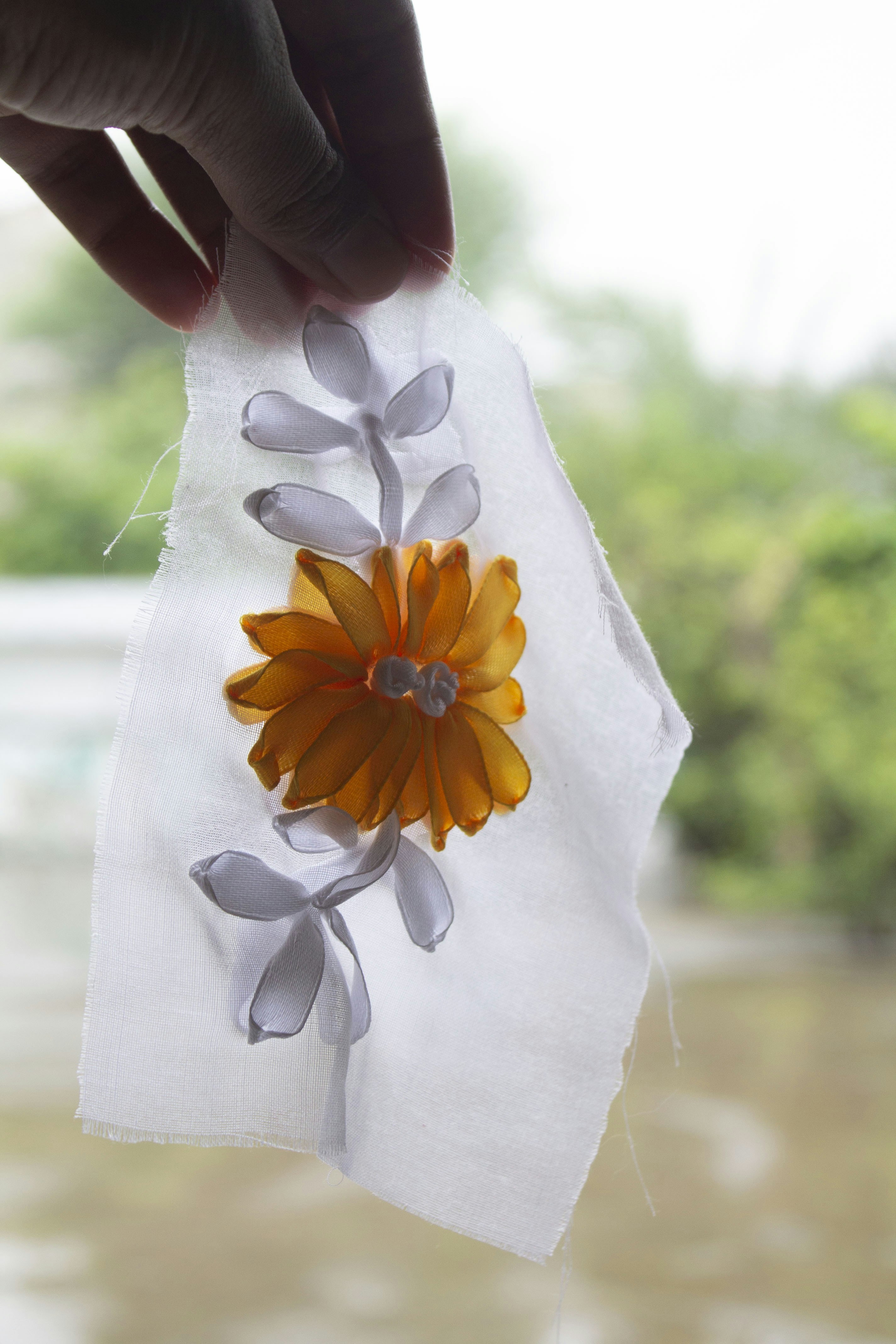 person holding orange and white flower