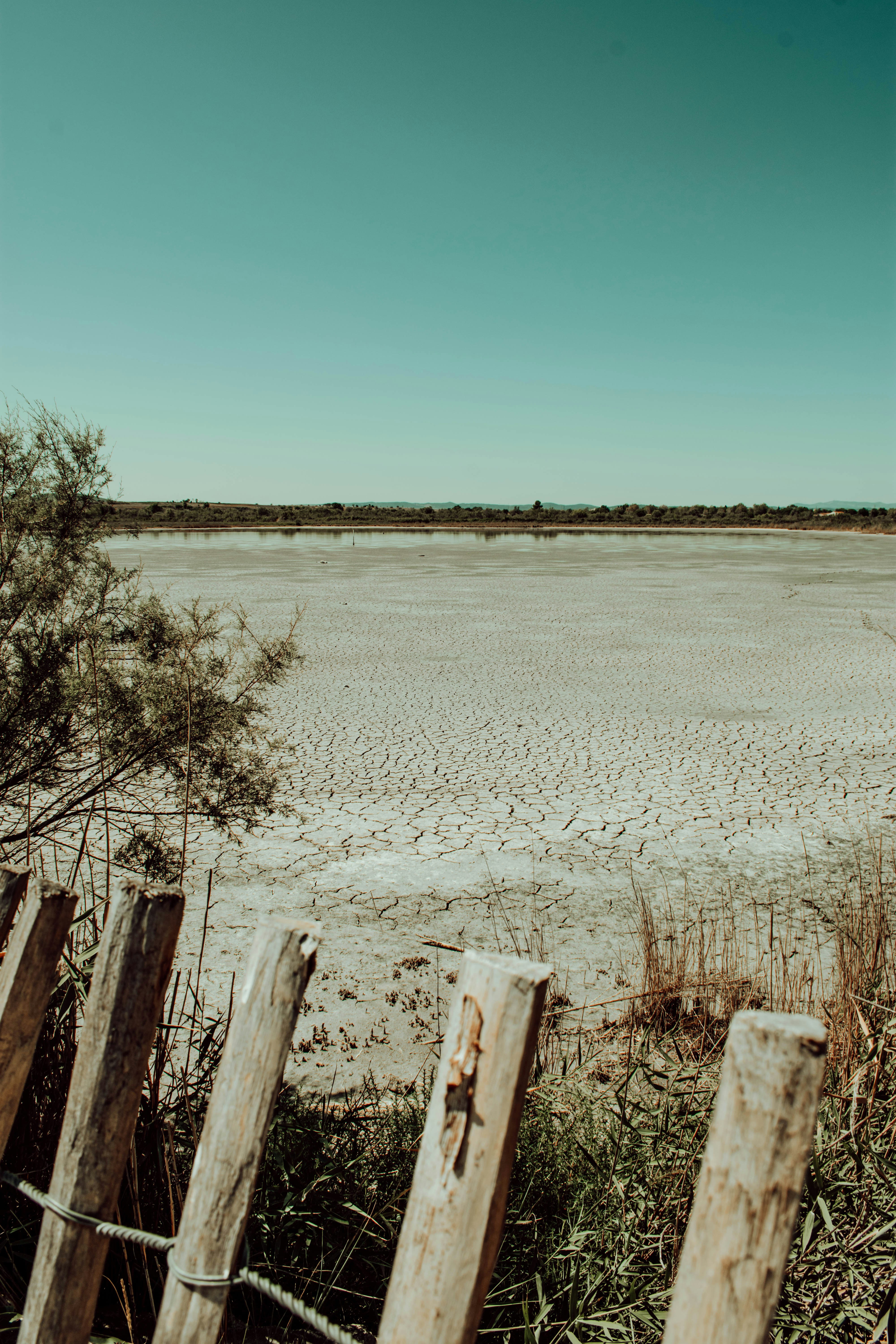 The Parched Expanse: Nature's Resilience