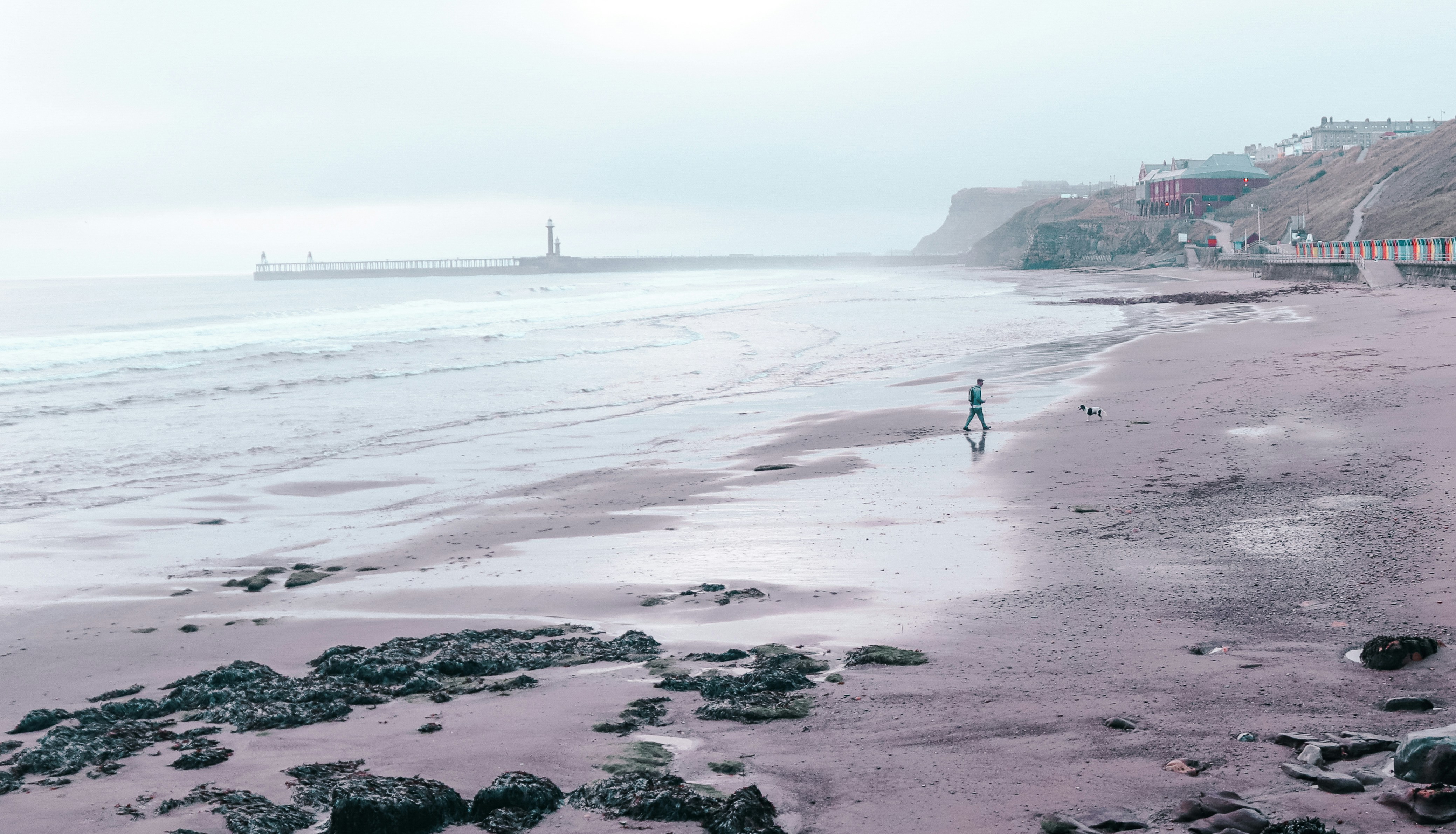 Man walking his dog on a misty Whitby beach