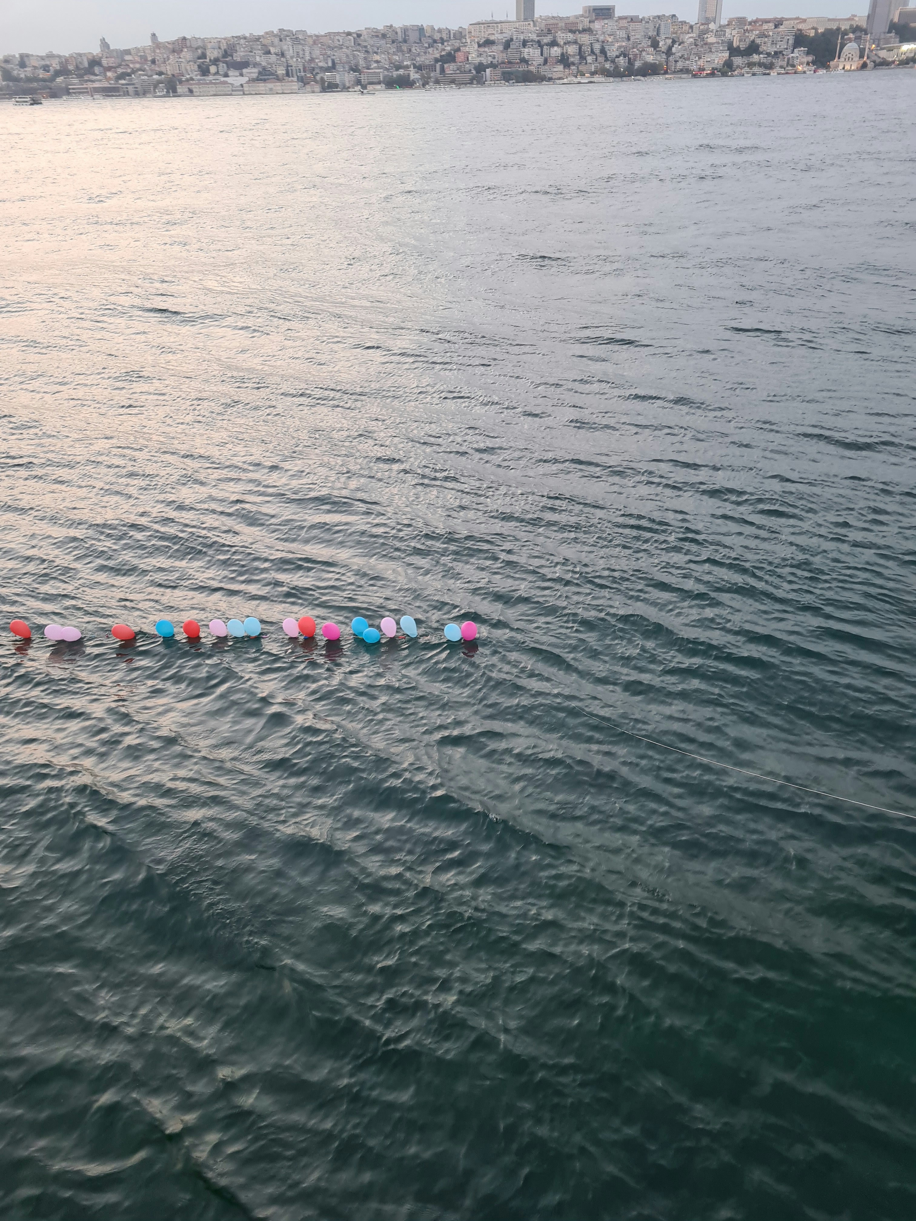 Floating Dots: a quiet harbor of color