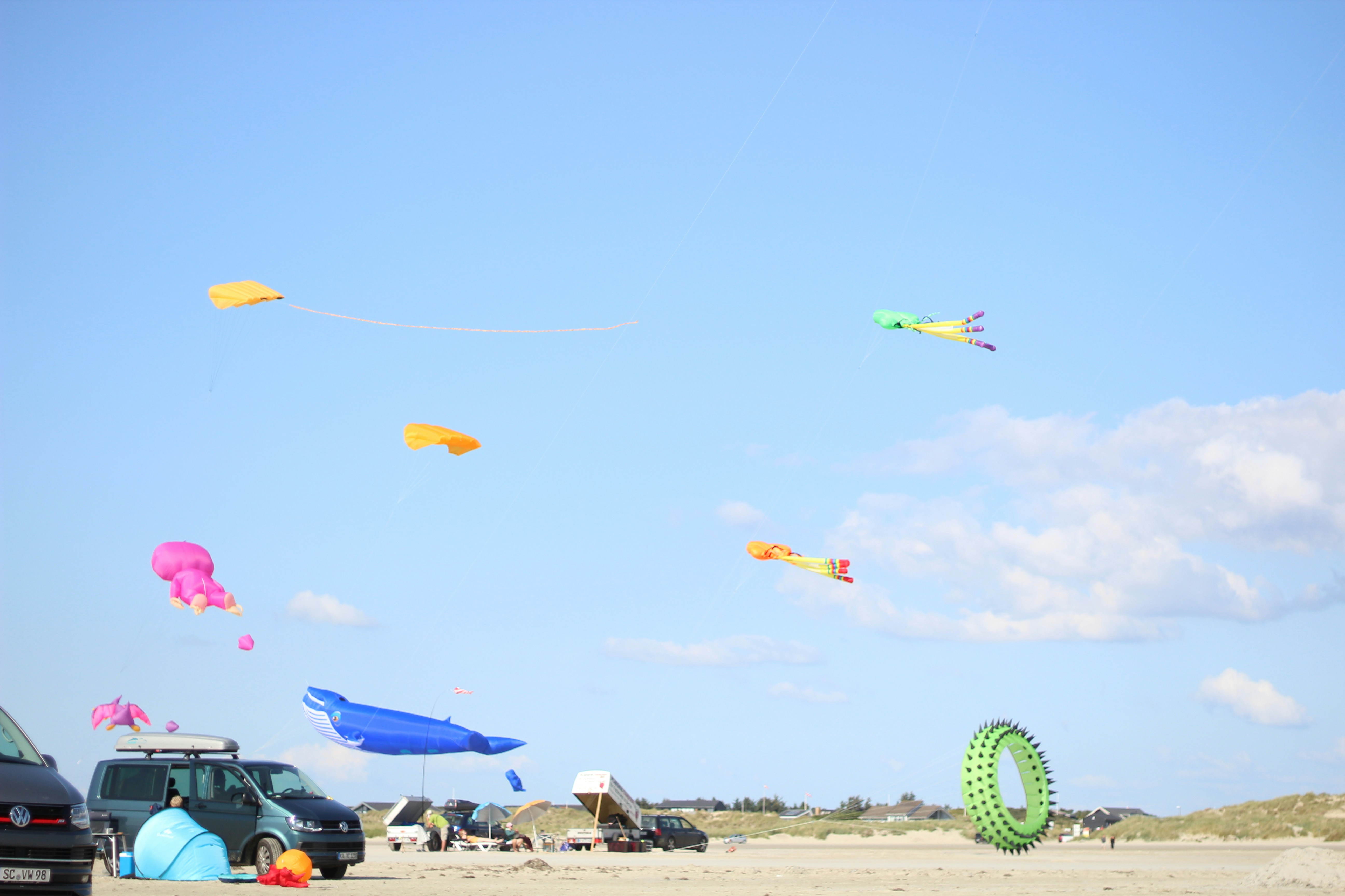 Colorful kites soar above a sandy beach under a clear blue sky.