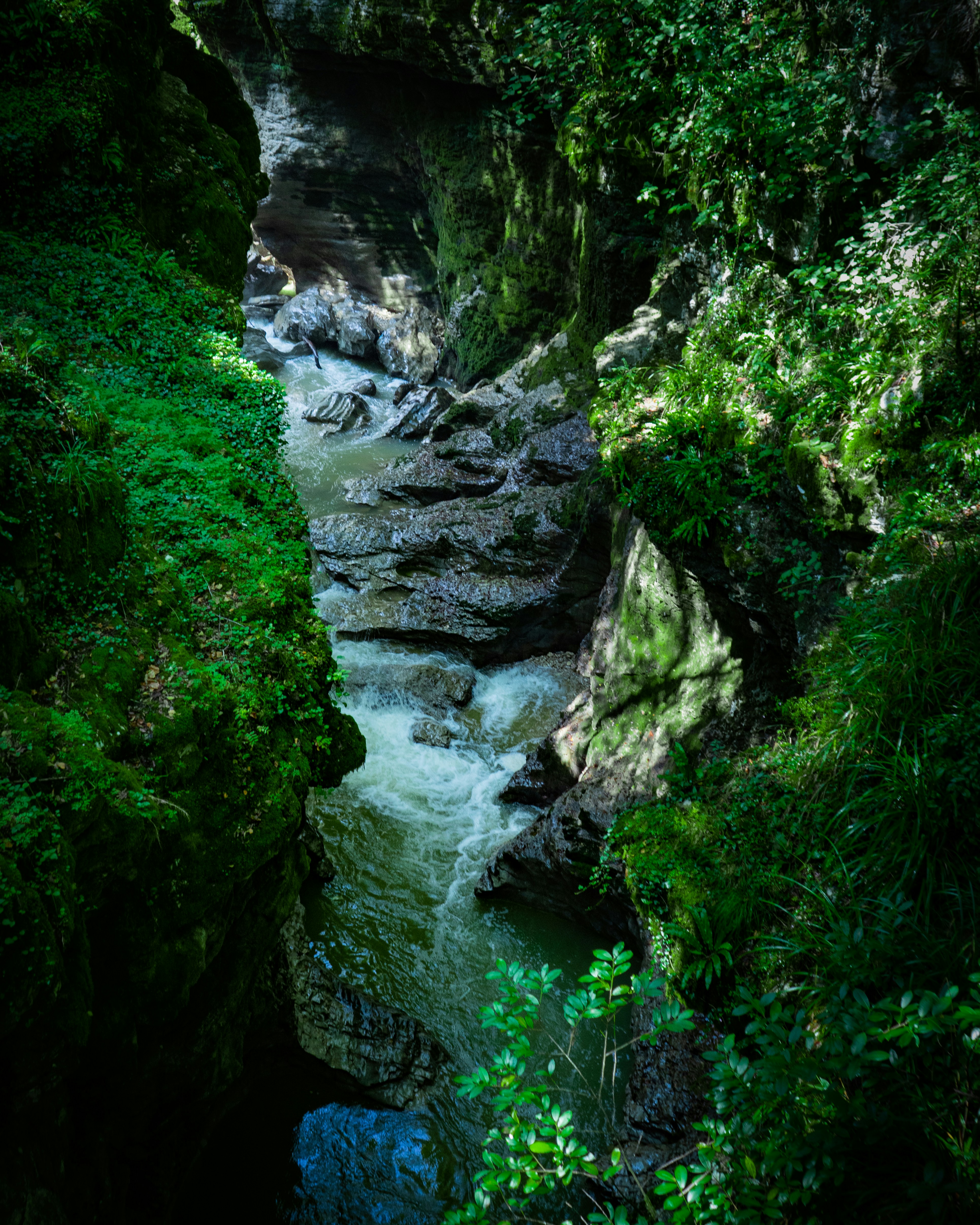 A serene river flows through a lush, green gorge, surrounded by moss-covered rocks and vibrant foliage.