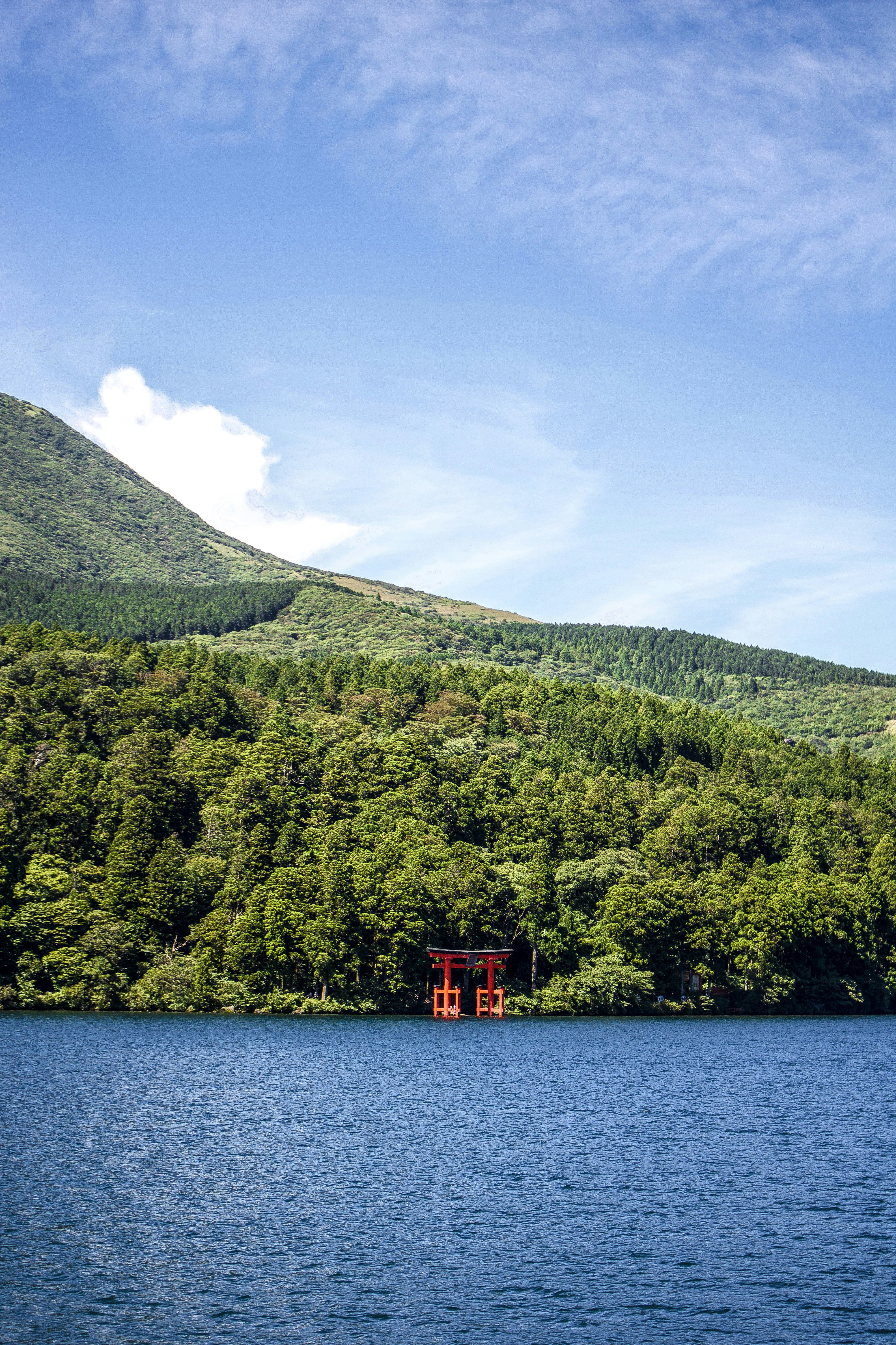 Serenity Amidst Nature's Embrace