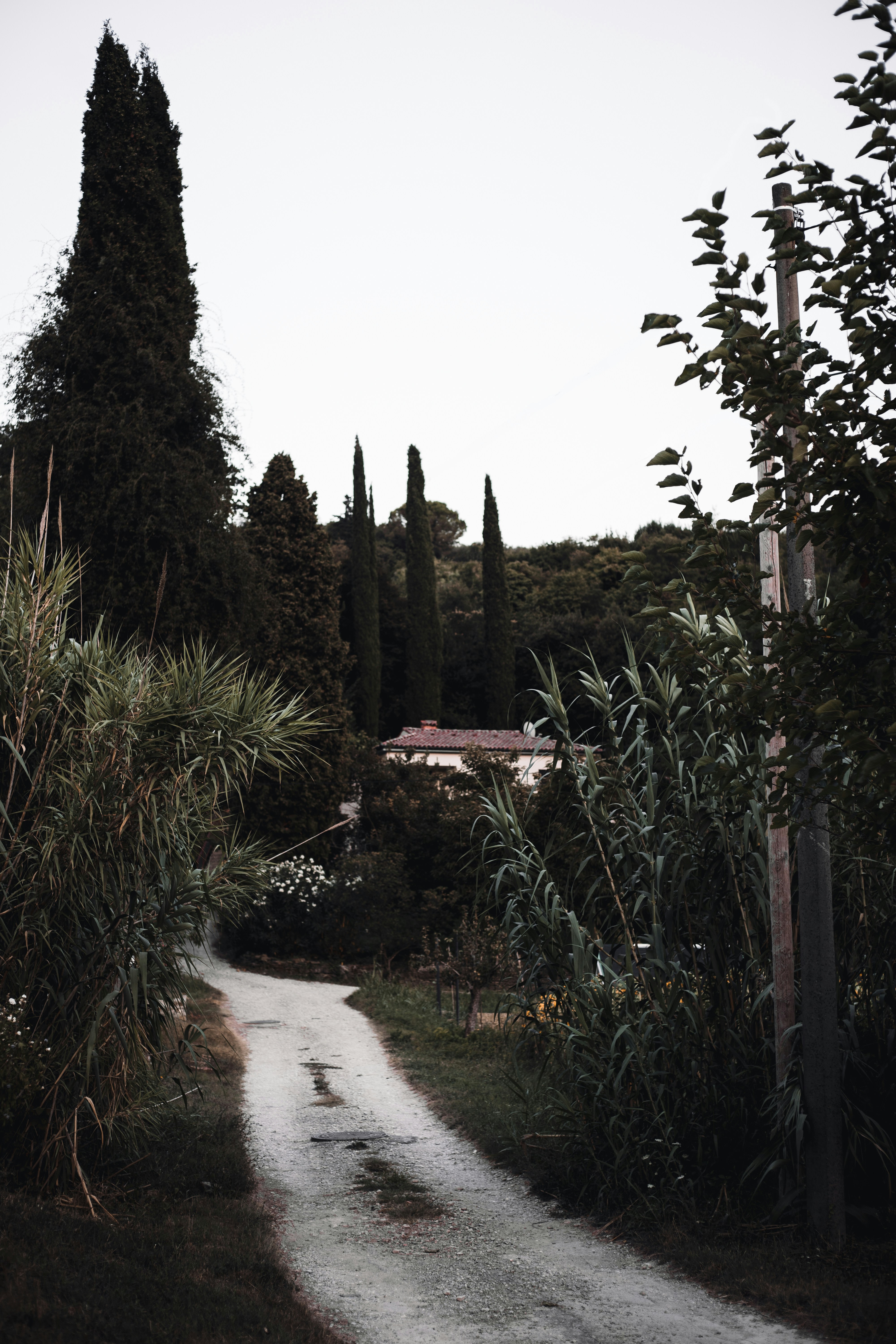 Garden Corridor Toward a Red-Roofed Retreat