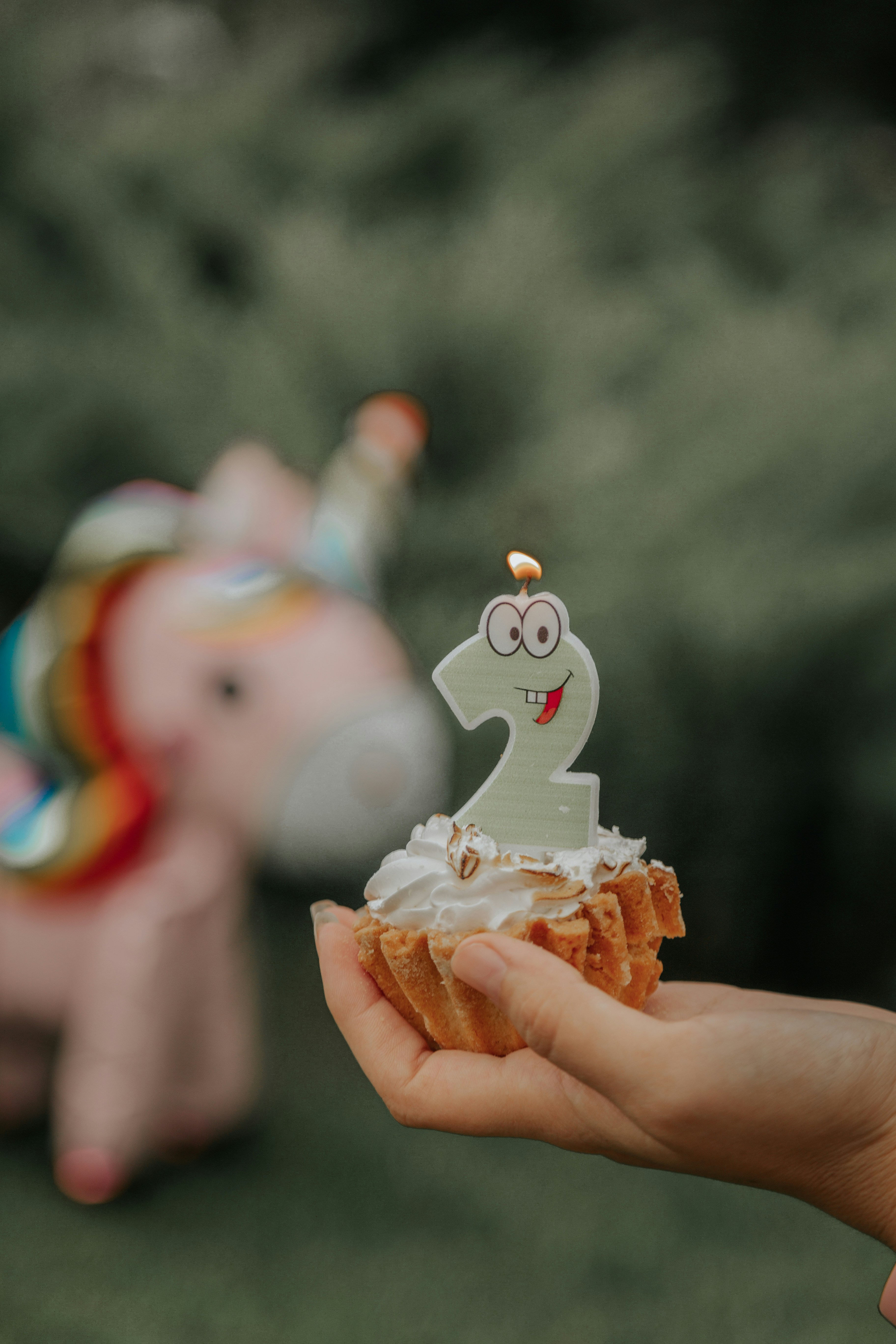Whimsical Desert on a Cookie: A Cake-Topped Caterpillar Reach