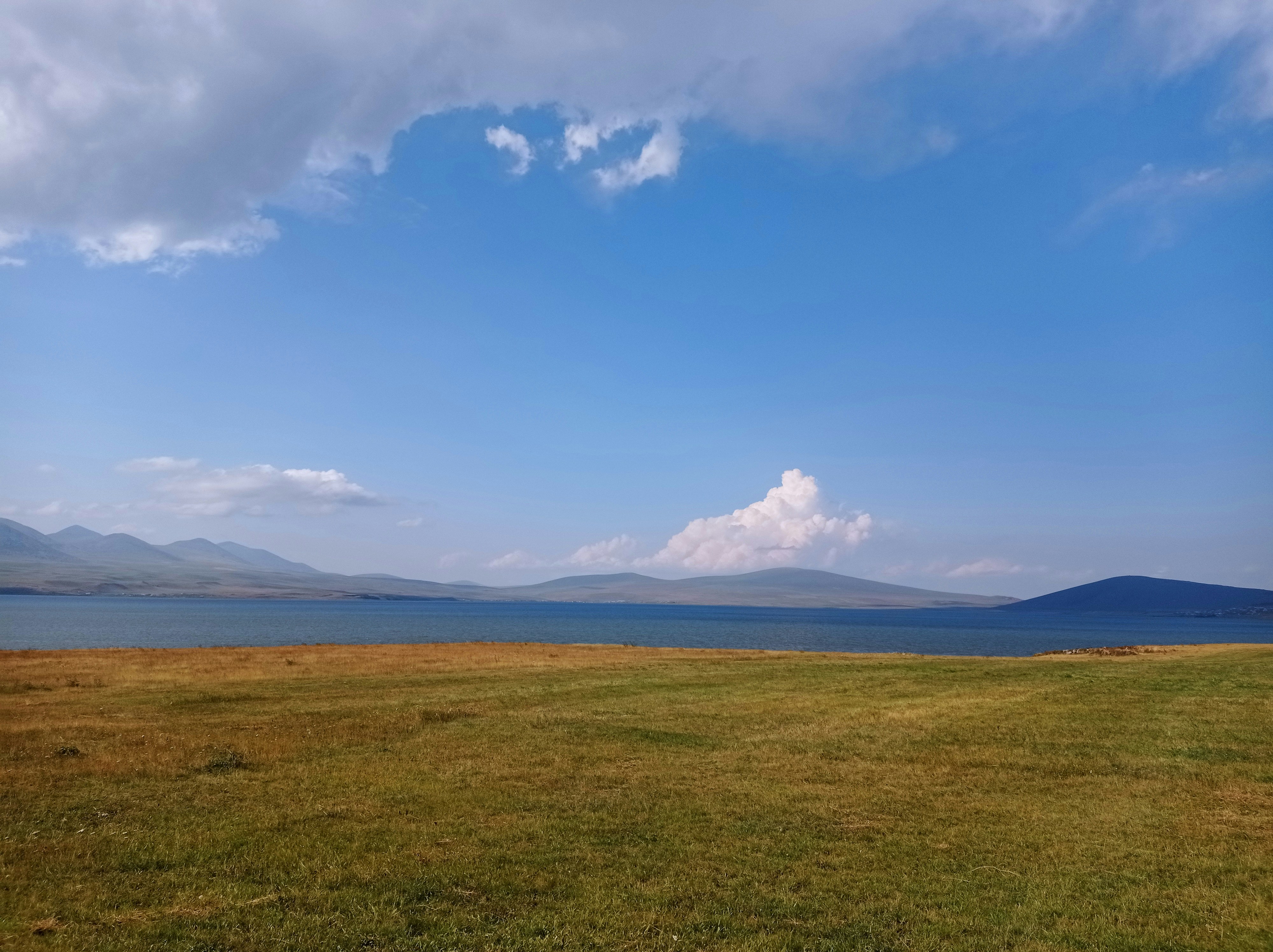 Green grass field under blue sky during daytime photo – Free Georgia ...