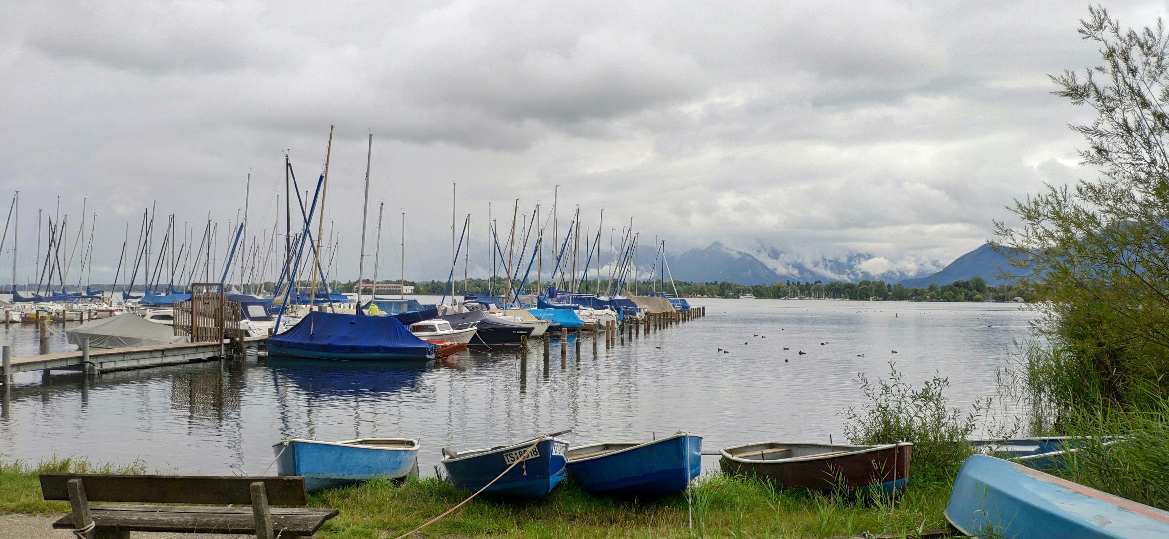 Blue Fleets Rest Along a Quiet Marina Under Overcast Skies