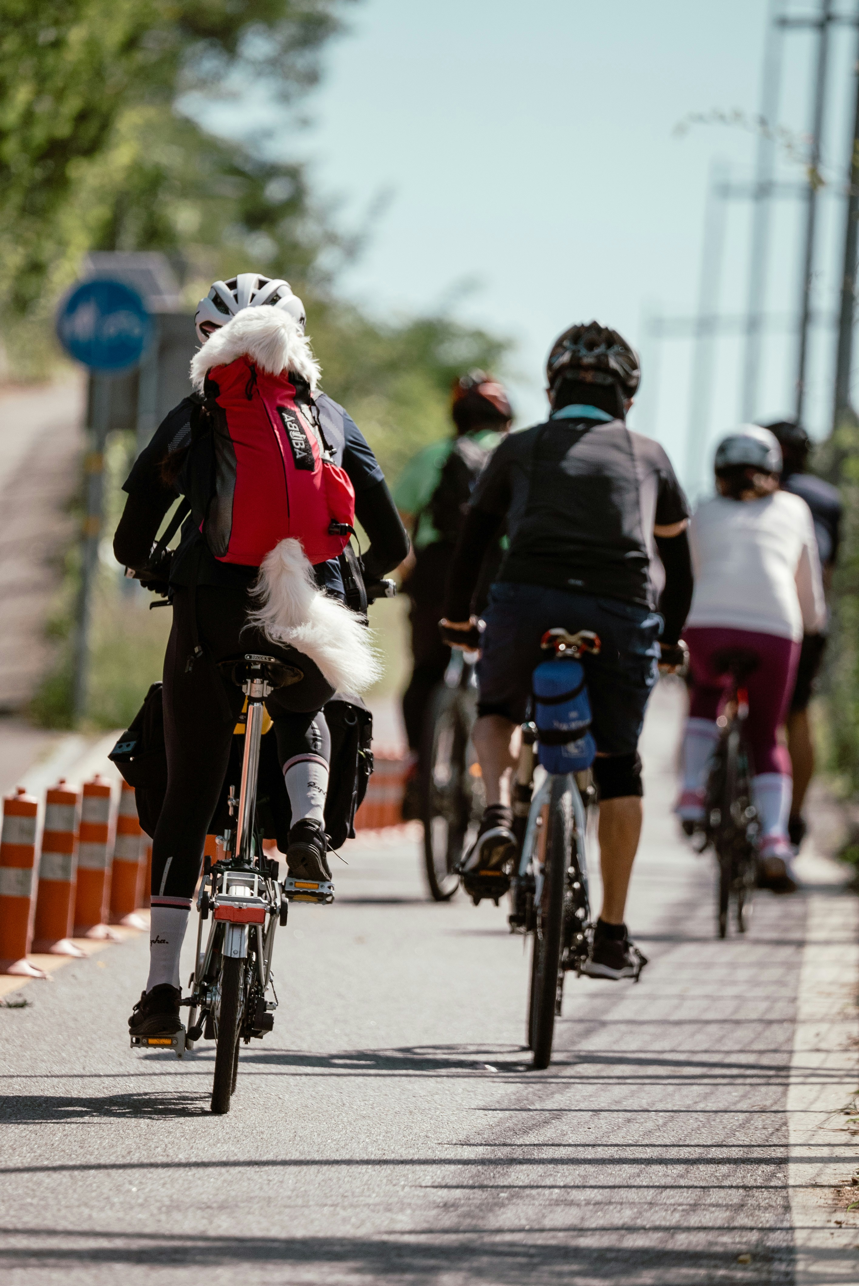 Rear-Cluster of Cyclists on a City Path