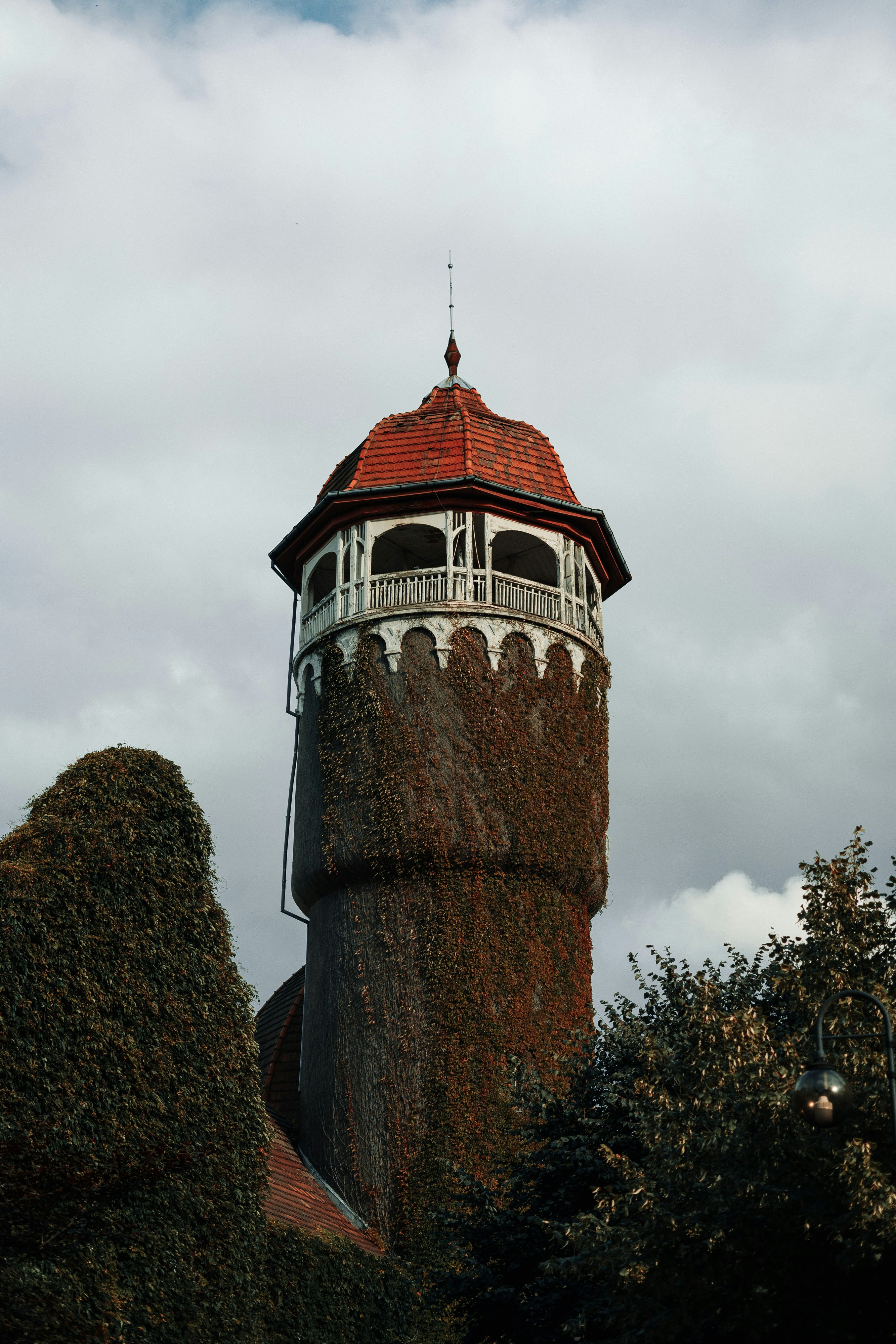 Whispers of Time: The Ivy-Clad Watchtower