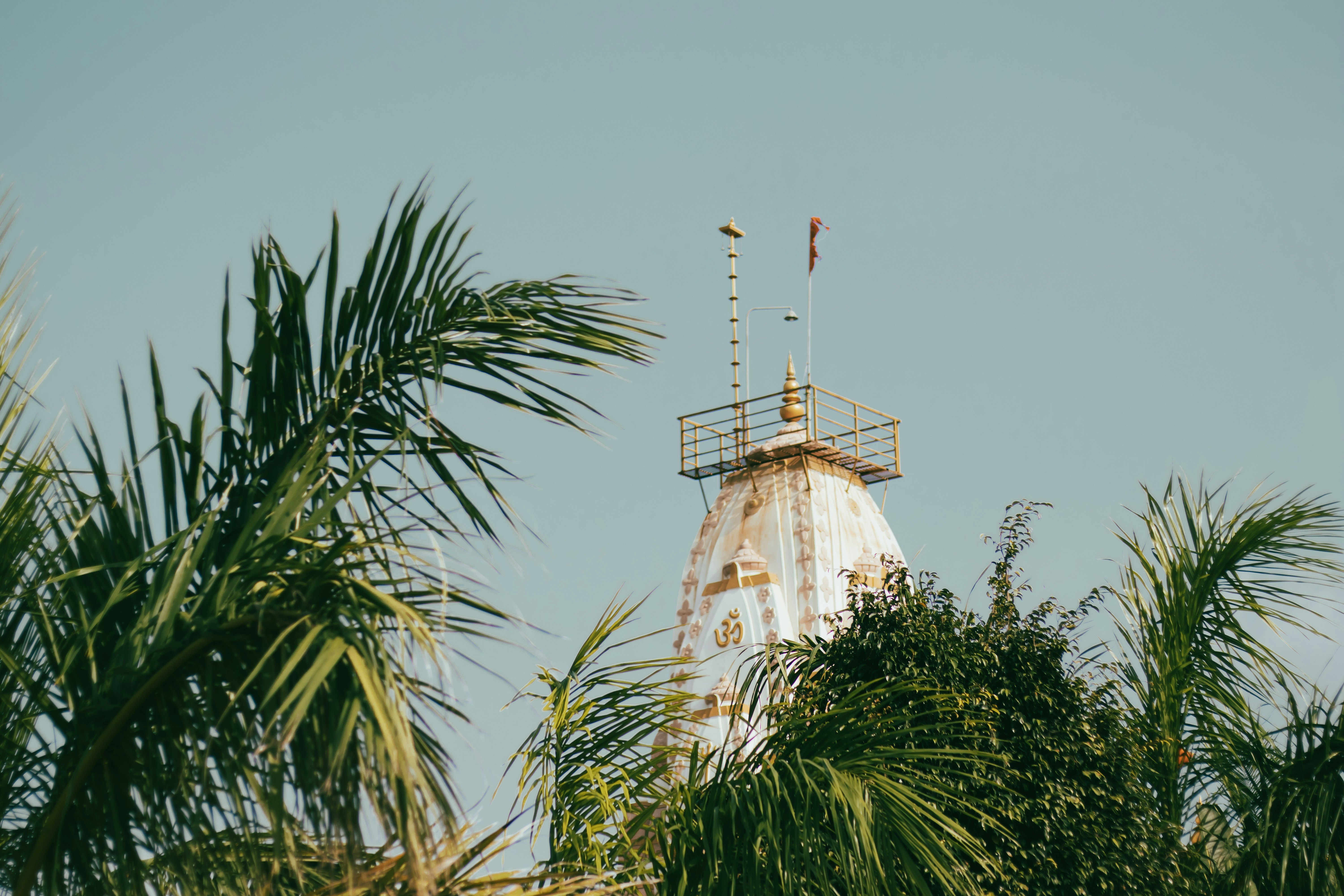 Serene Temple Spire Amidst Verdant Palms