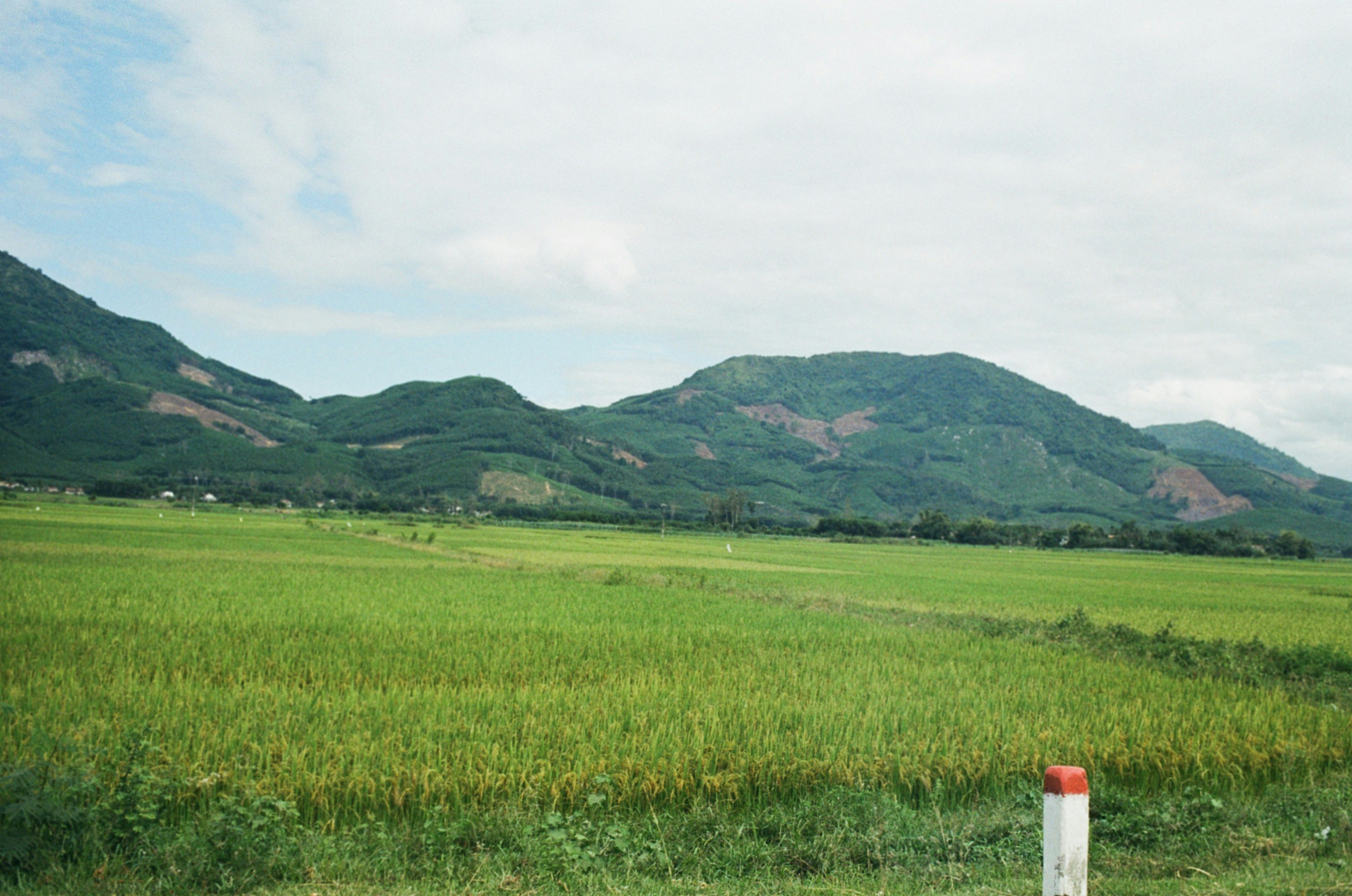 Green grass field near mountain during daytime photo – Free Green Image ...