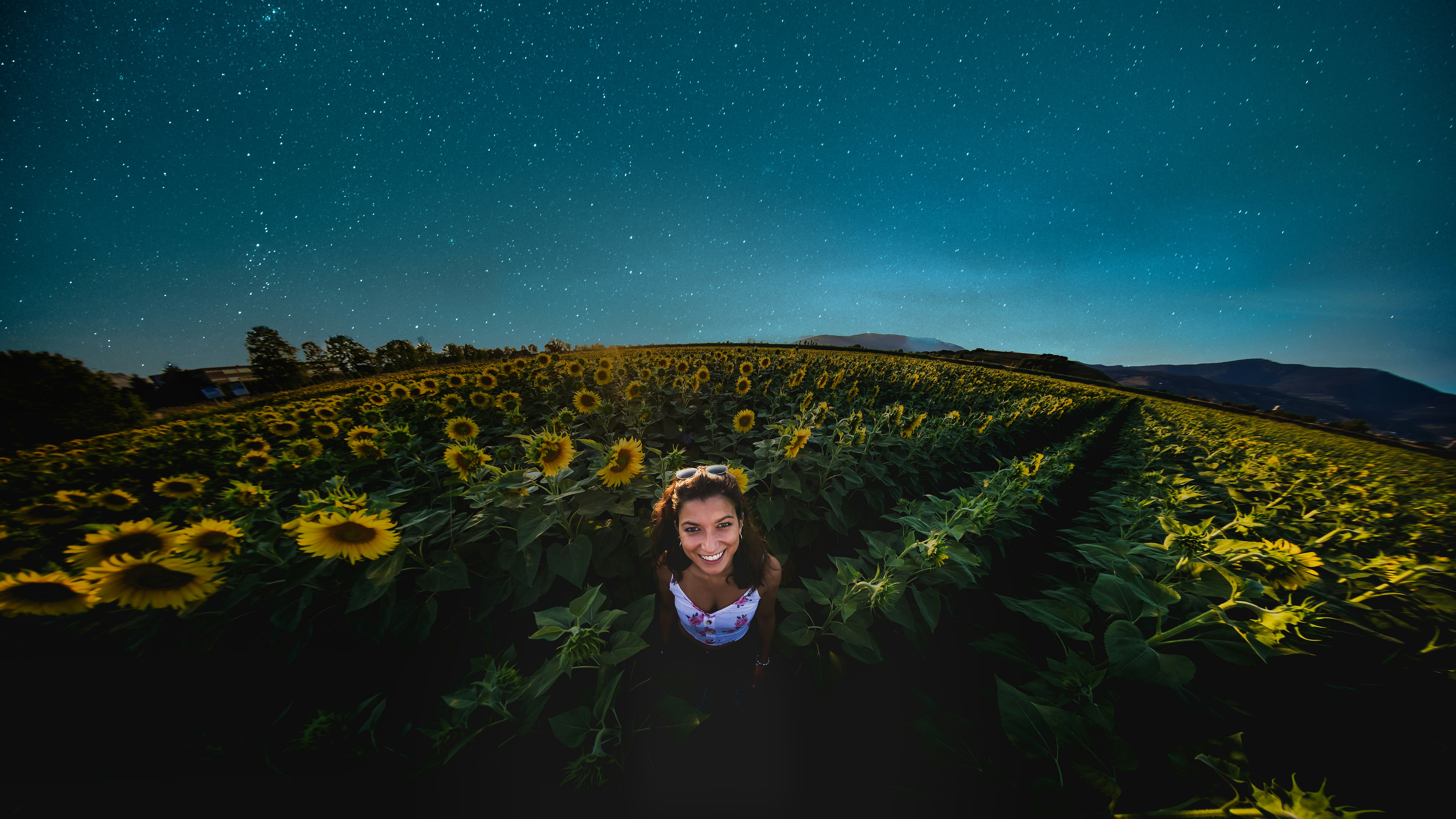 Night Under the Sunflower Sea: A Dreamlike Field Backlit by Stars