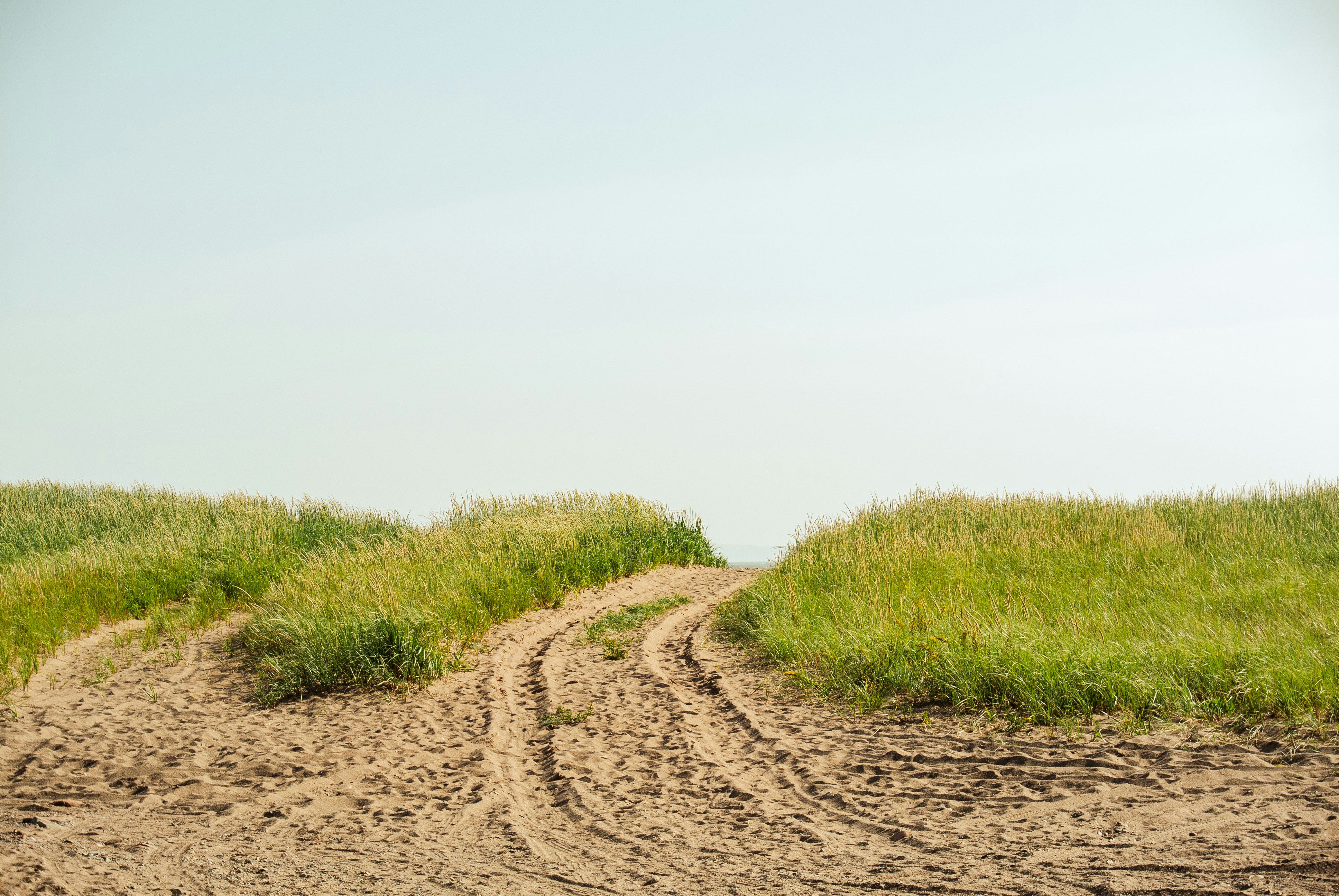 Curving dirt road flanked by lush green grass under a pale blue sky.