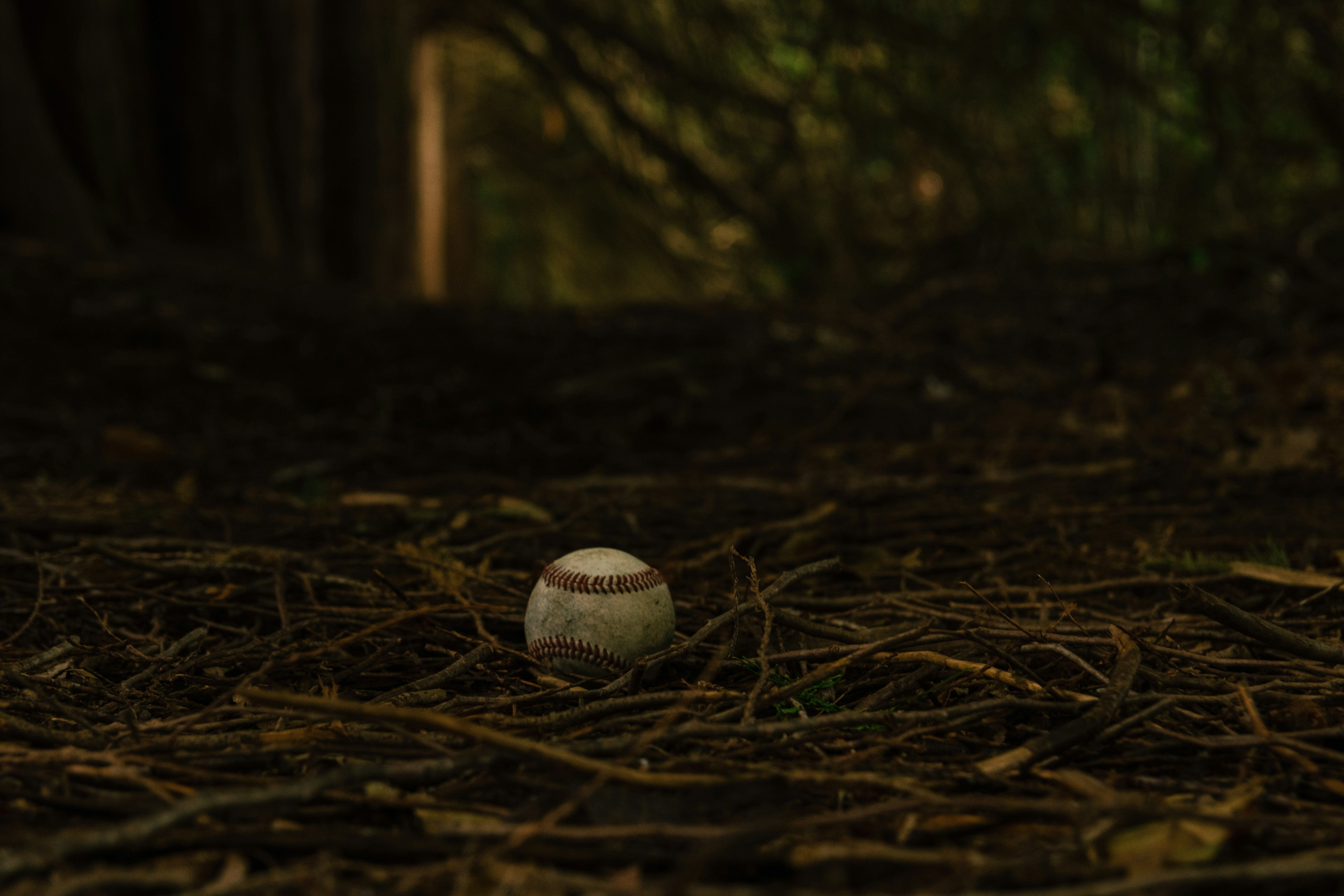 A lone baseball rests among scattered twigs and leaves in a dimly lit forest setting.