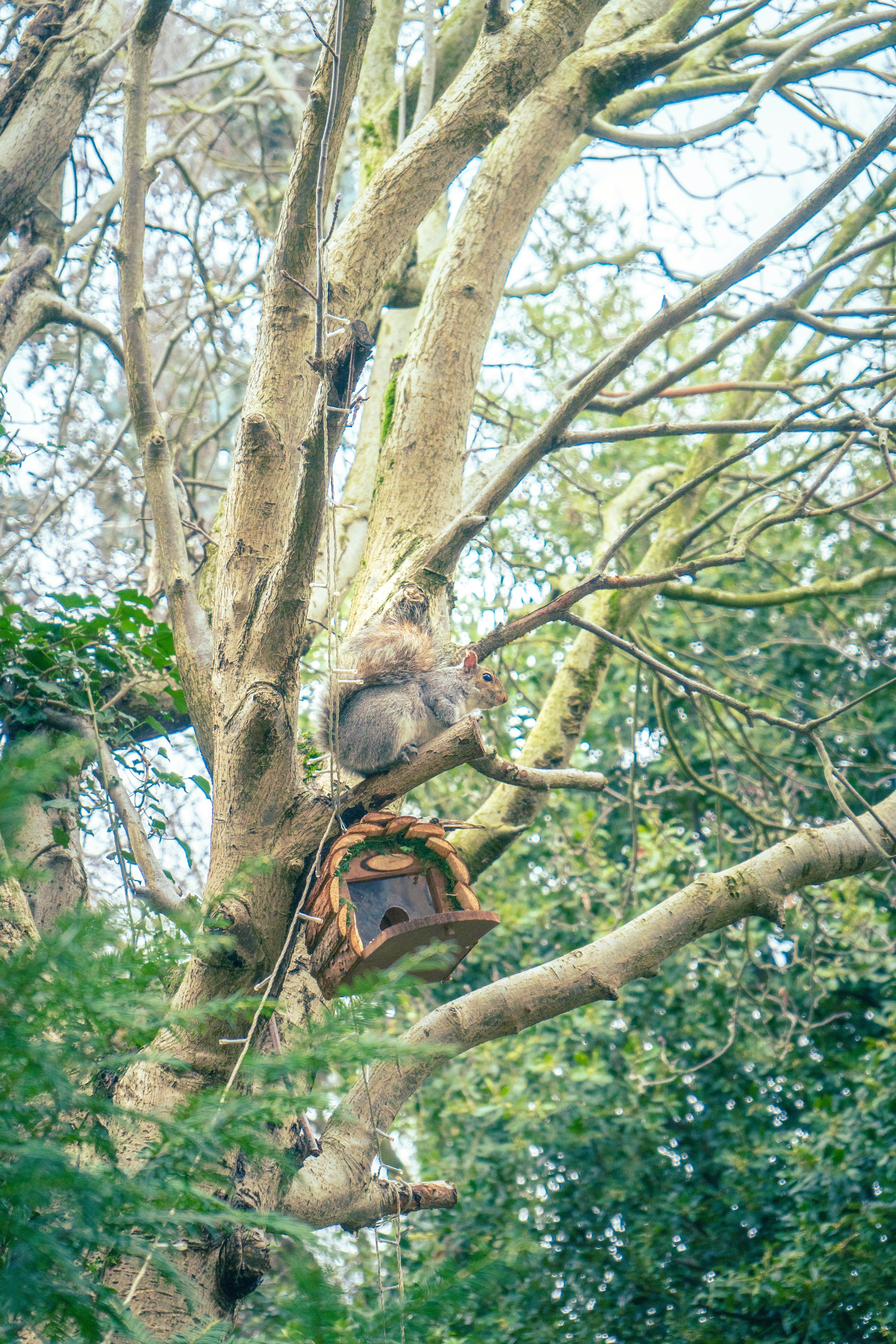 Brown and gray tree branch photo – Free Haggerston Image on Unsplash