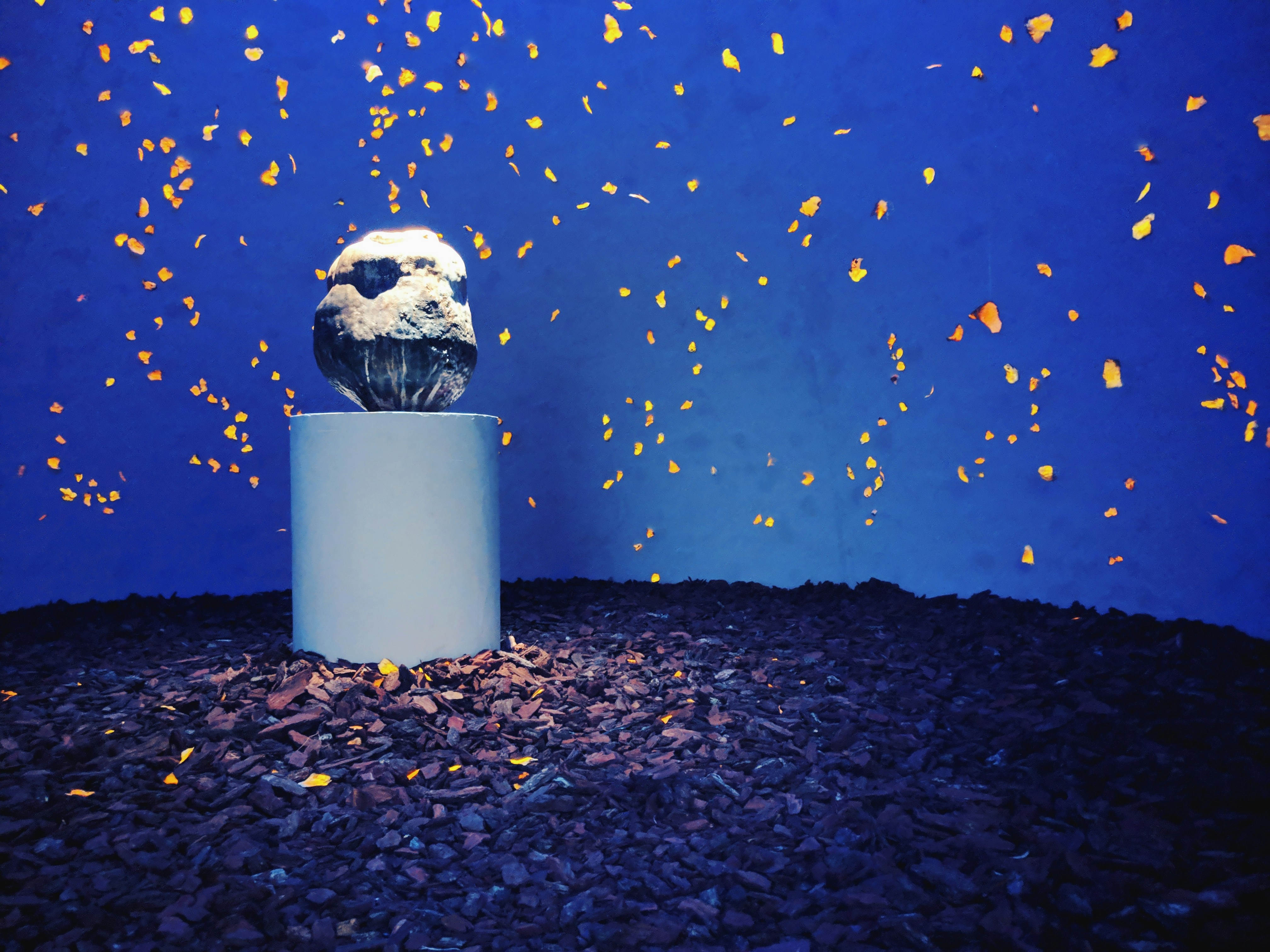 Snowcap on a blue pedestal: a solitary bird statue beneath drifting amber confetti