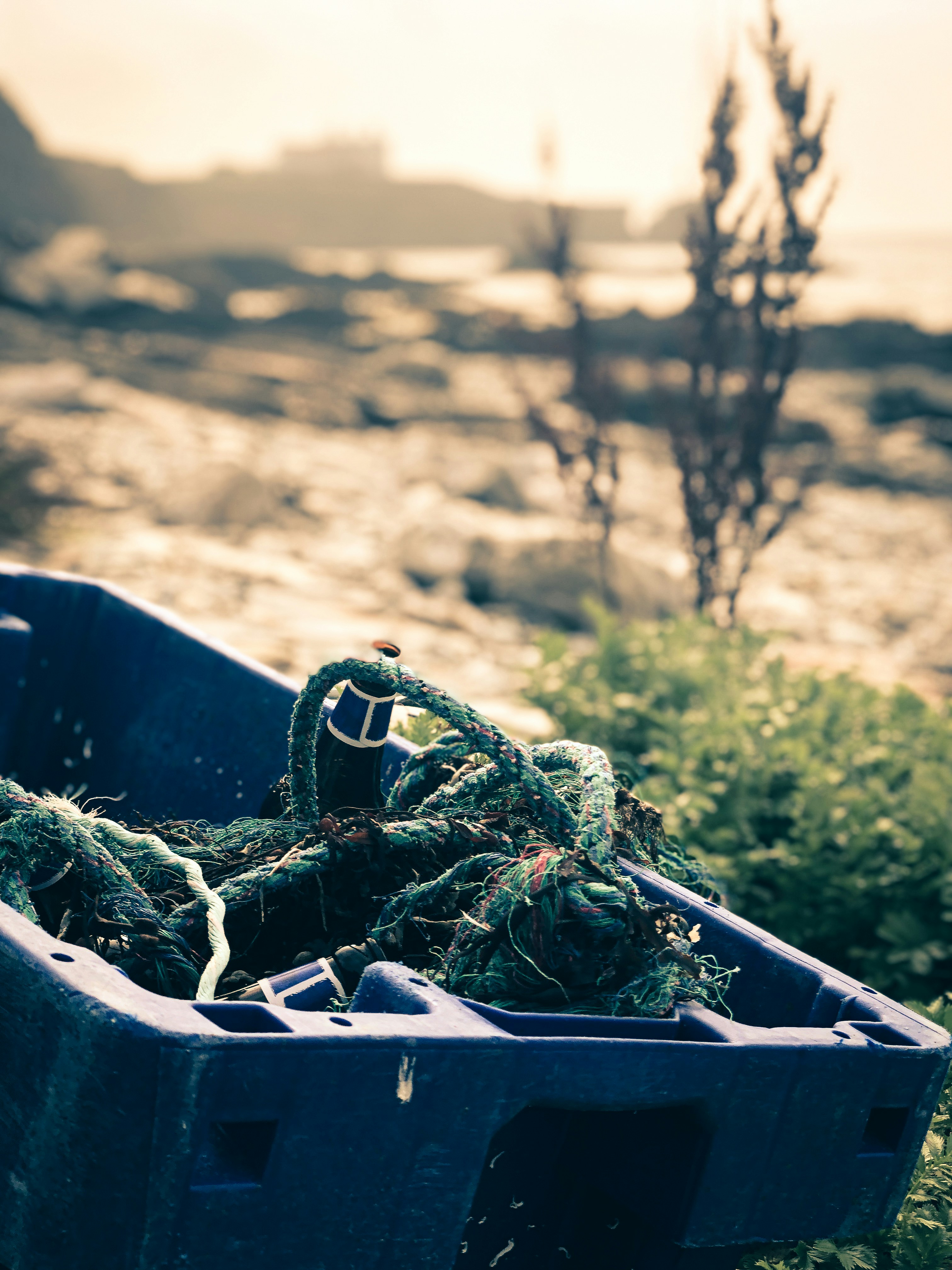 Rope Tangle at Dusk in a Harbor Crate