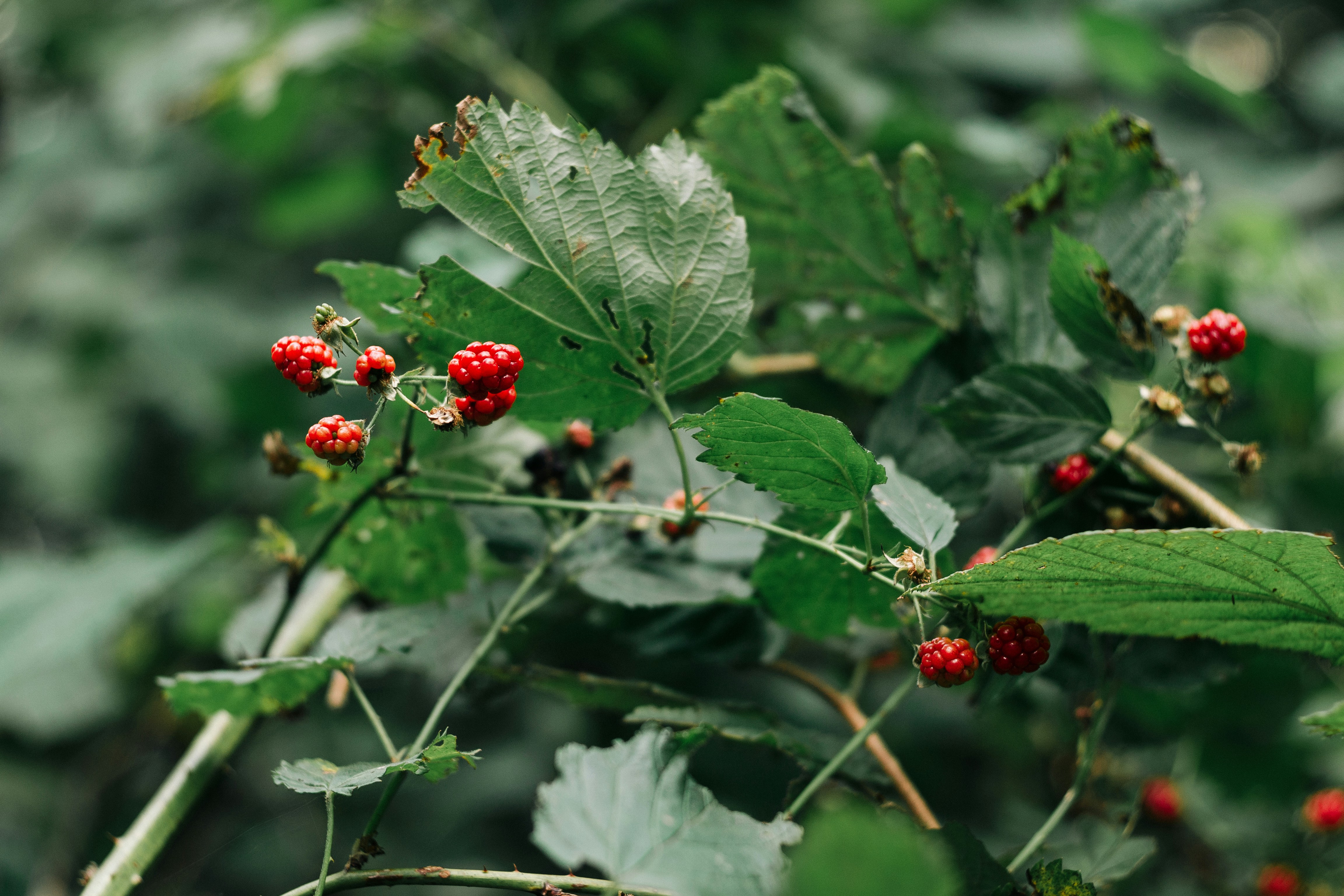 Kvasy Photos | Télécharger des images gratuites sur Unsplash