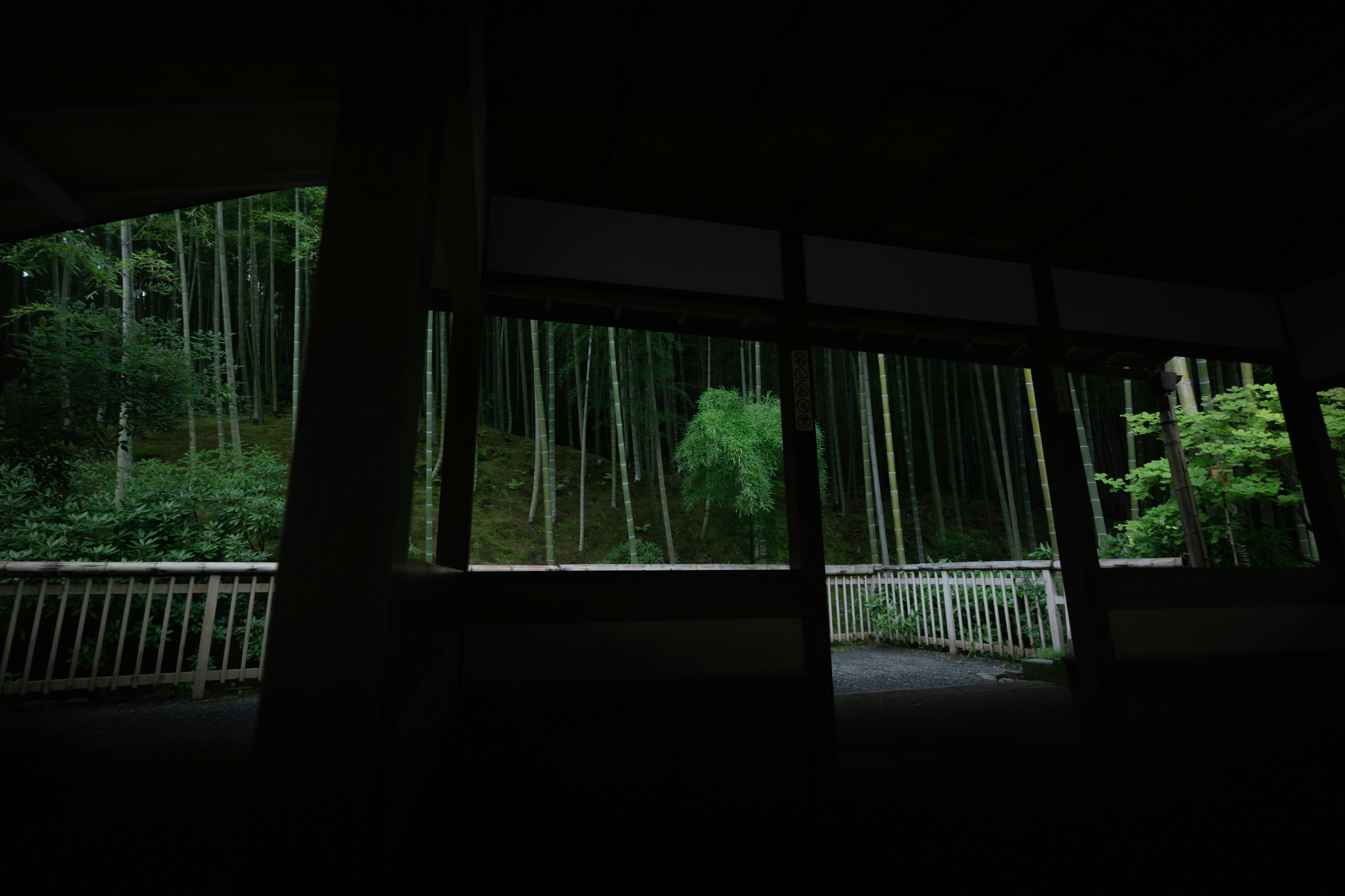 A serene view framed by wooden beams, revealing a lush bamboo forest bathed in soft green hues.