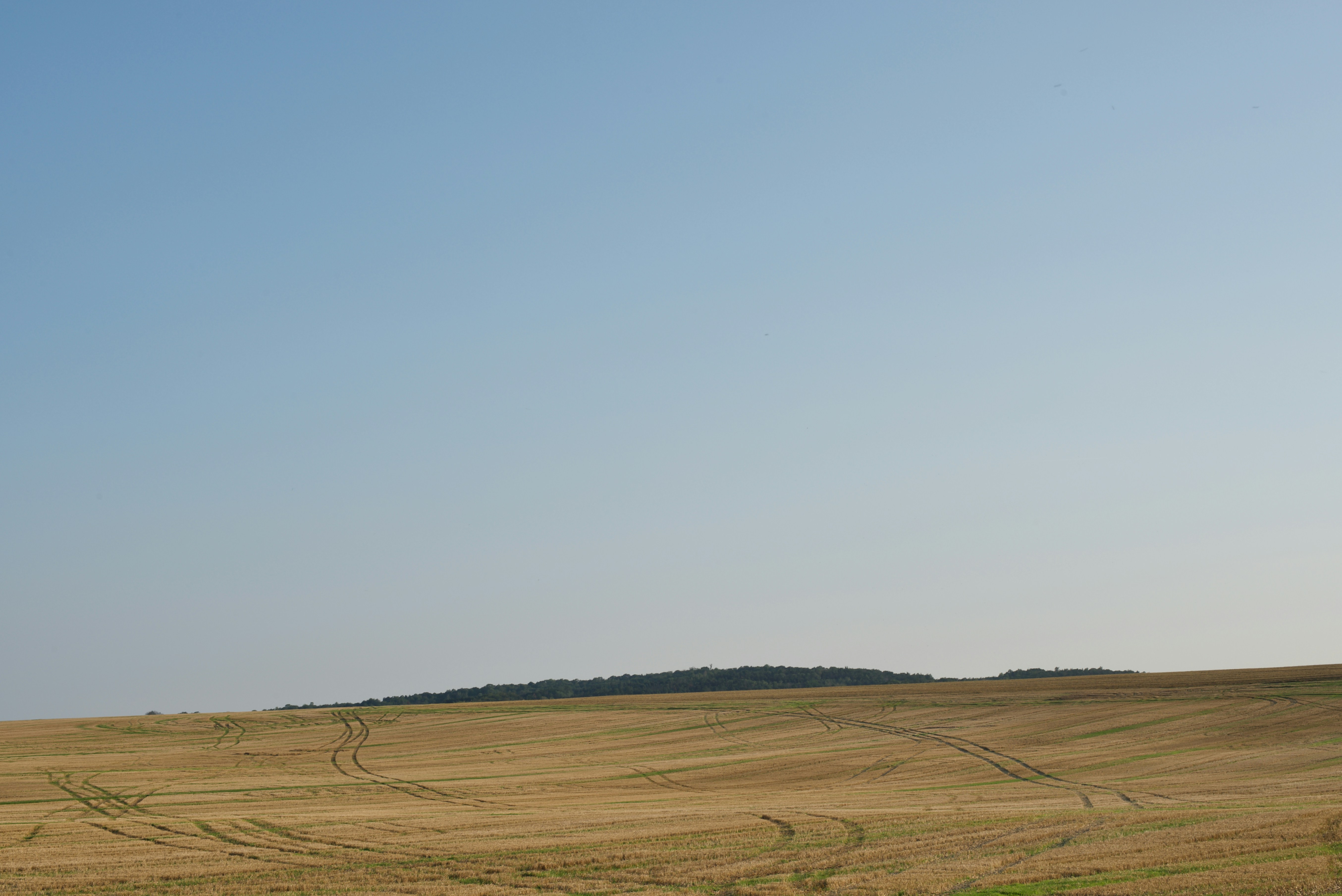 Brown sand field under white sky during daytime photo – Free Field ...