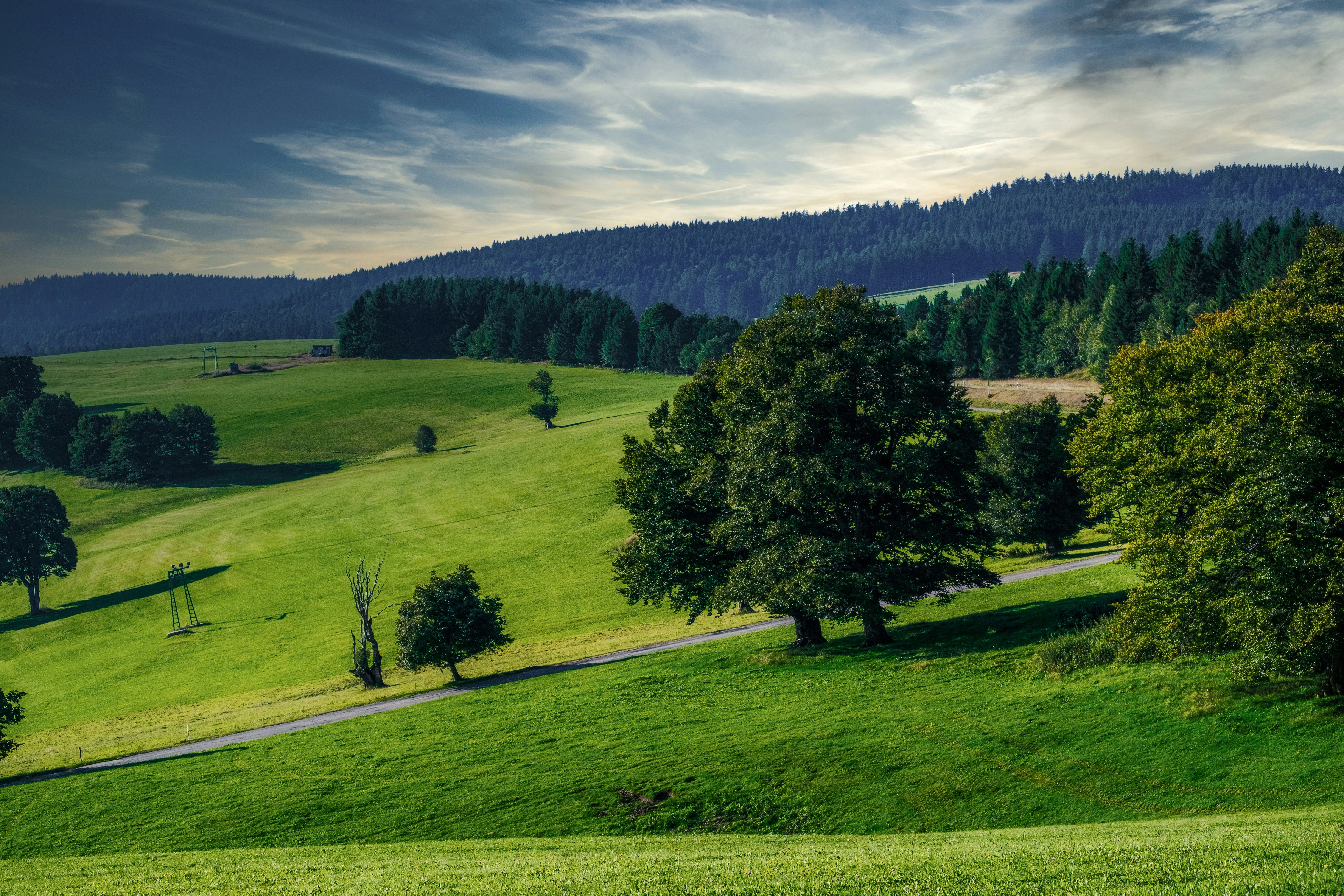 Green grass field surrounded by green trees under blue sky during ...