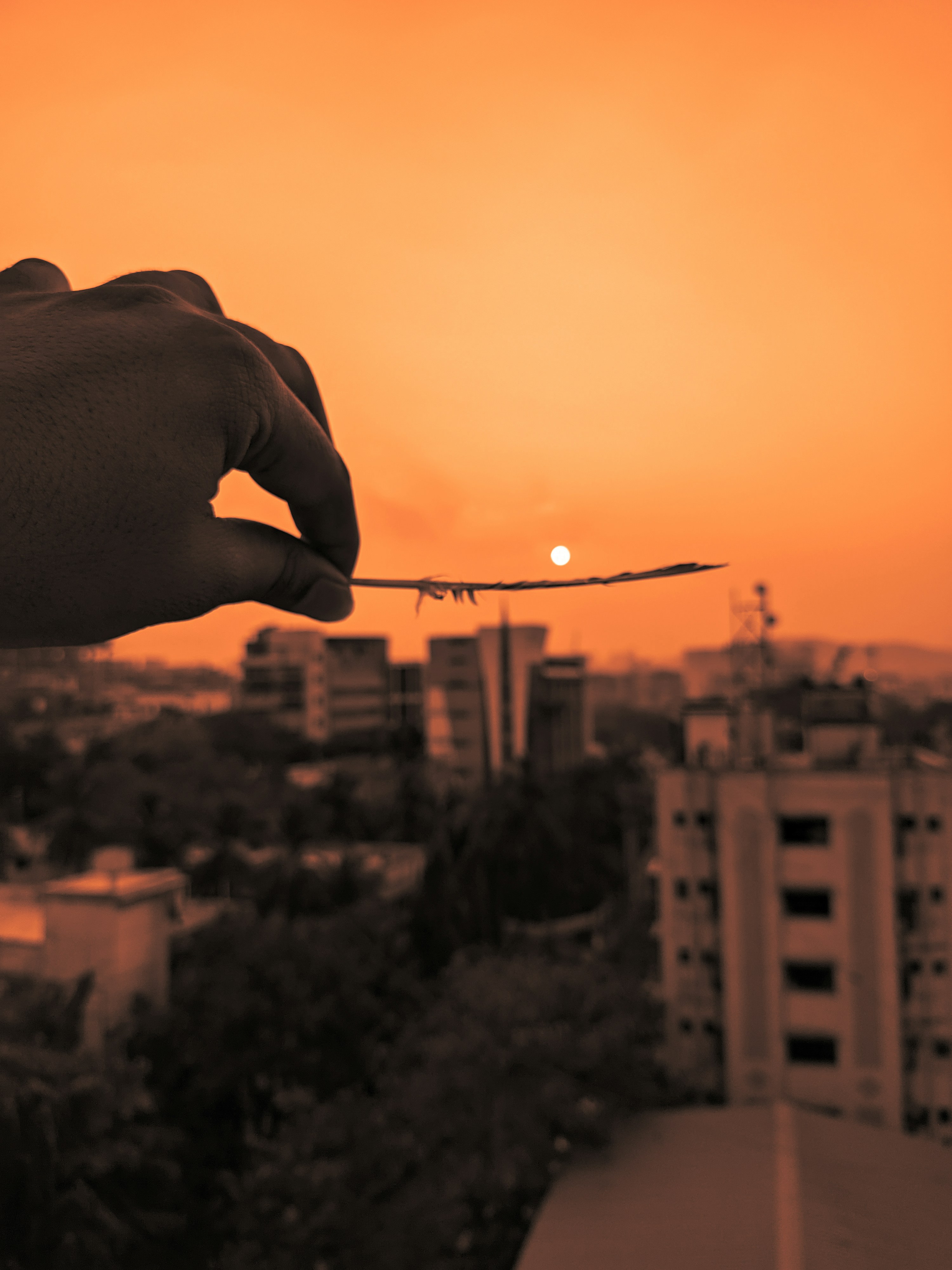 Sunset Pinch: A Hand Steadying the Sun over a City