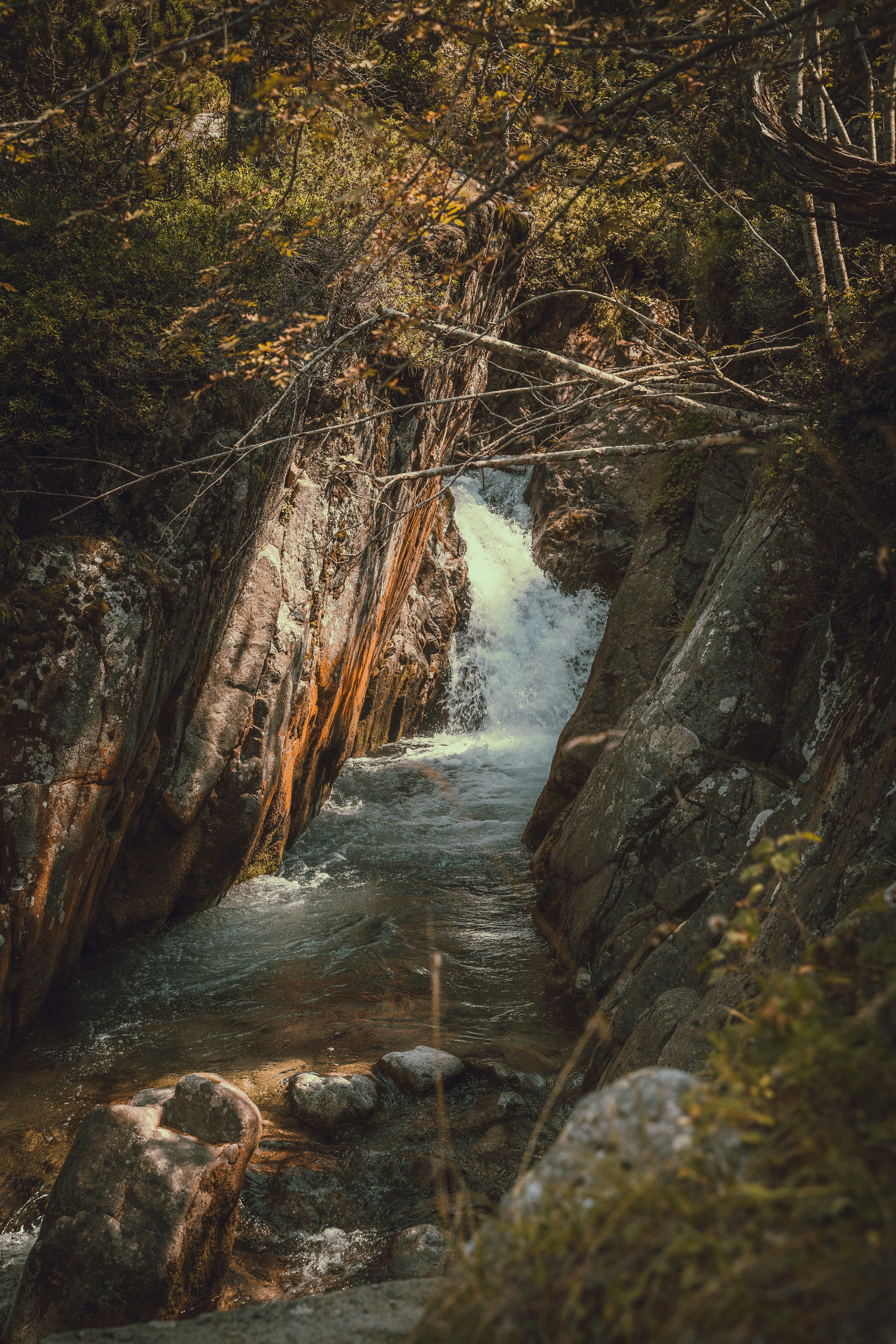 A serene stream flows through a narrow rocky gorge, surrounded by lush greenery and autumn hues.