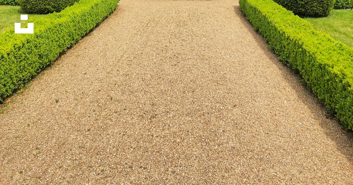 緑の草と緑の茂みの写真 Unsplashの無料ヘッジ写真