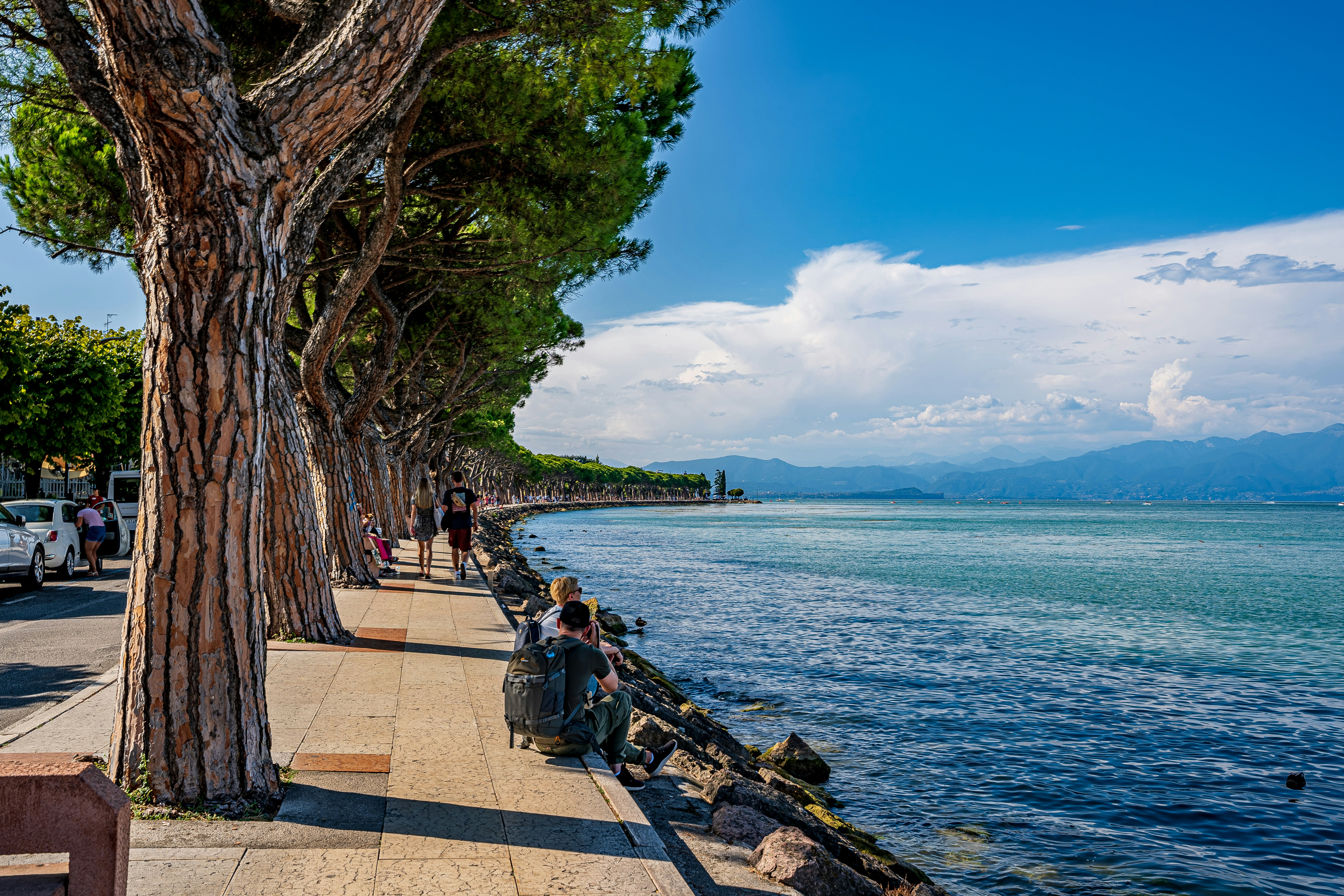 Lively promenade lined with tall trees along a serene waterfront, where people enjoy leisurely moments under a bright sky.