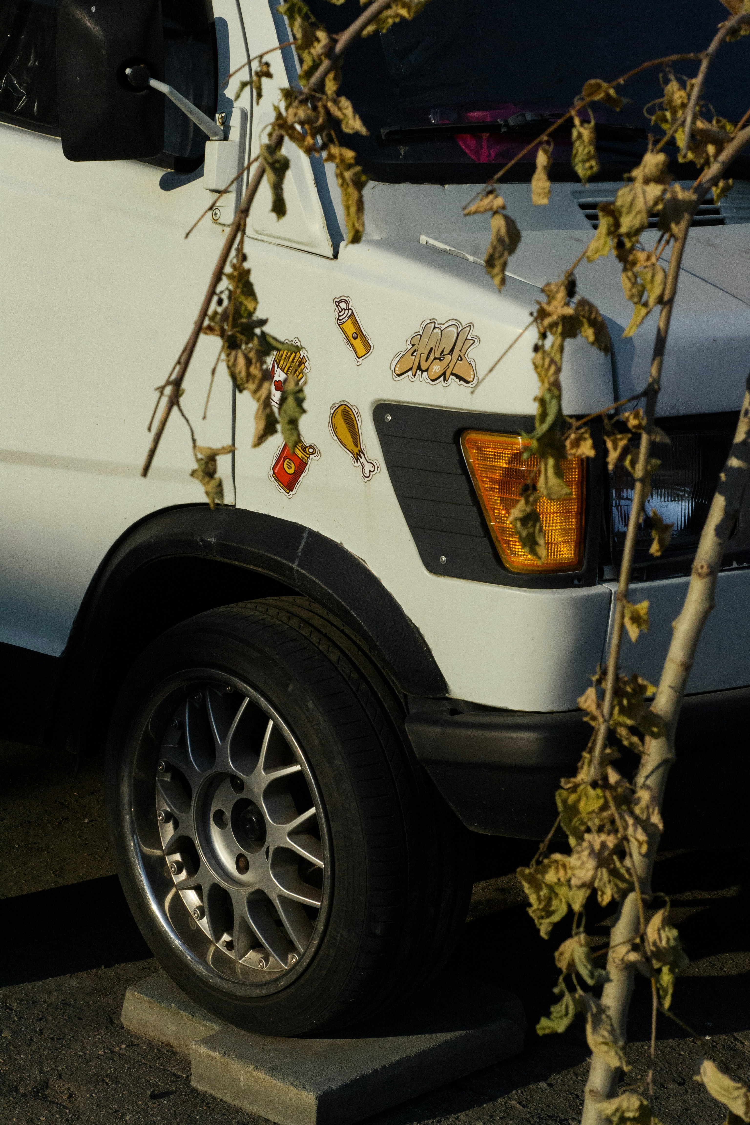 Sticker Mosaic on a Weathered Delivery Van Wrapped by Dry Vines