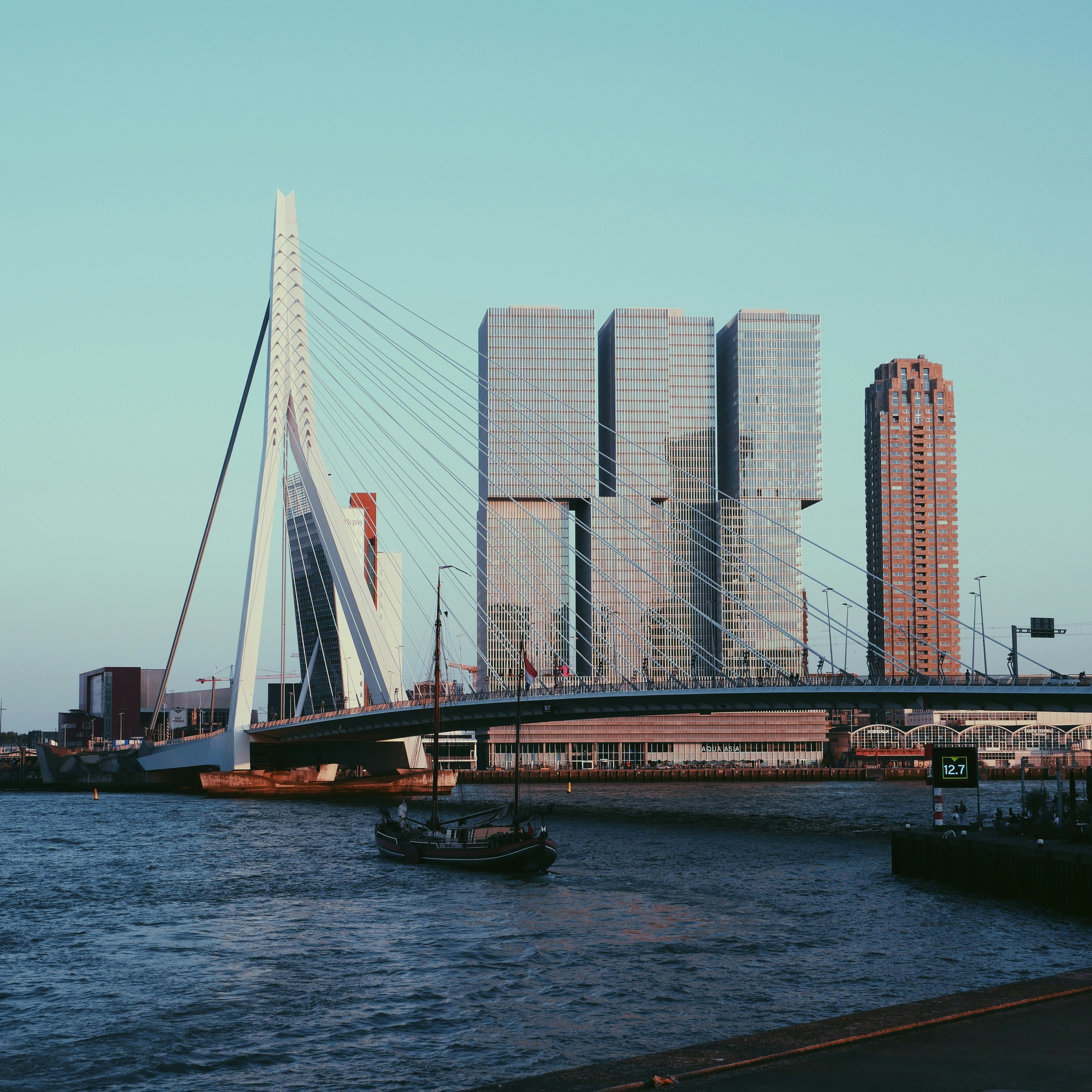 Sleek cable-stayed bridge spans the water, framed by contemporary skyscrapers reflecting the evening light.