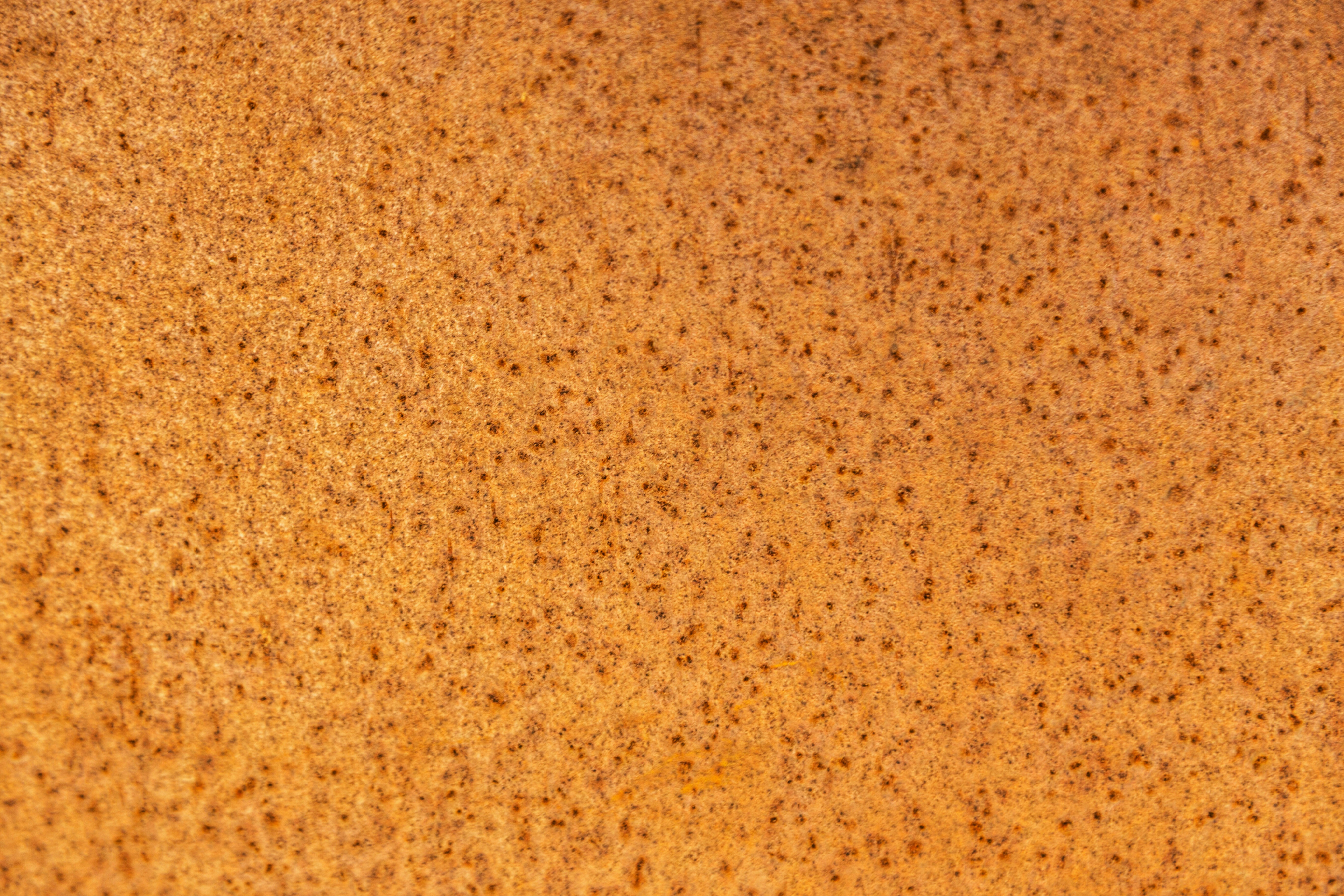 Close-up view of a textured surface showcasing intricate patterns and earthy tones. The image highlights the natural beauty of the material's details.