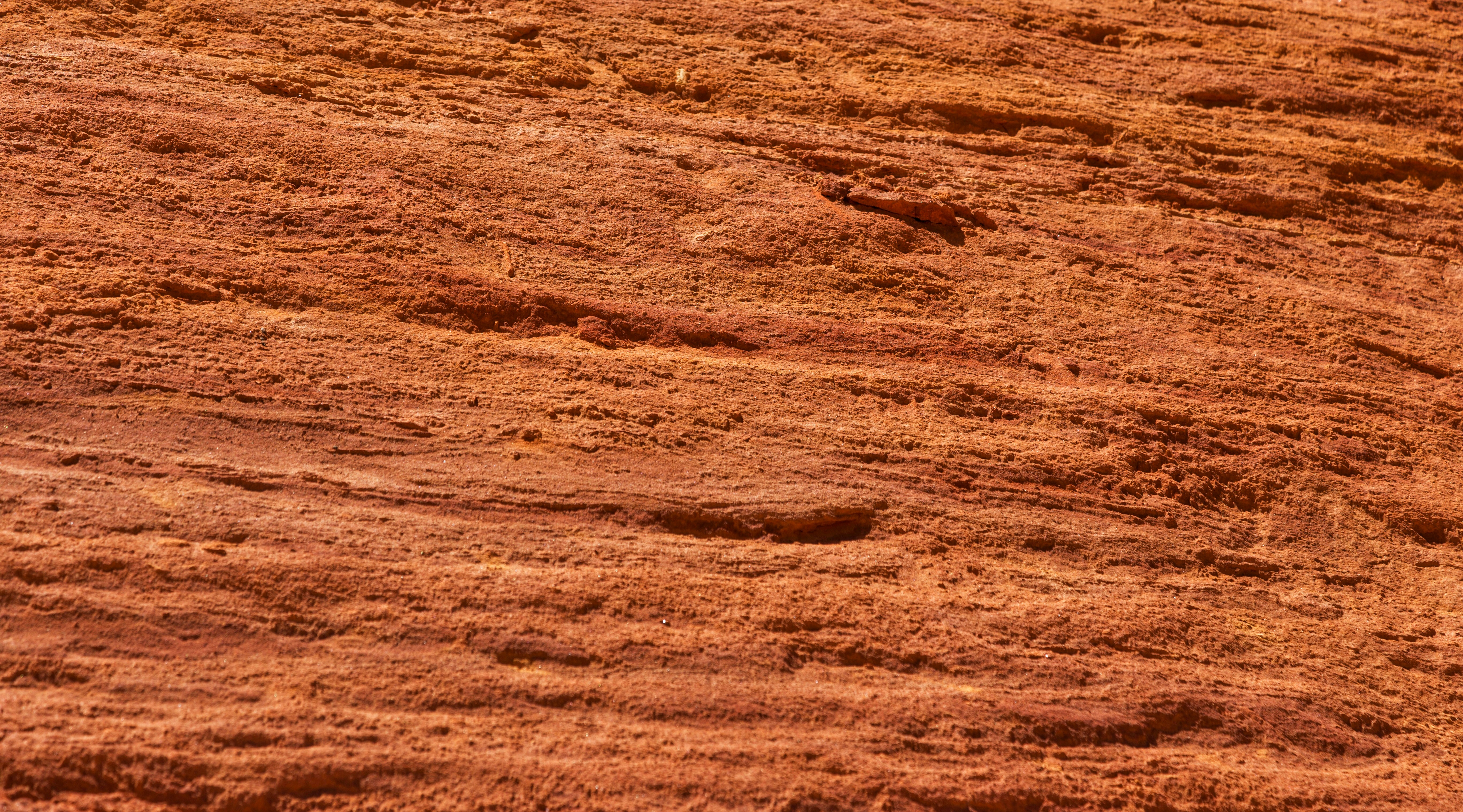 Textured red rock surface showcasing intricate patterns formed by natural erosion. The vibrant hues highlight the geological history of the landscape.