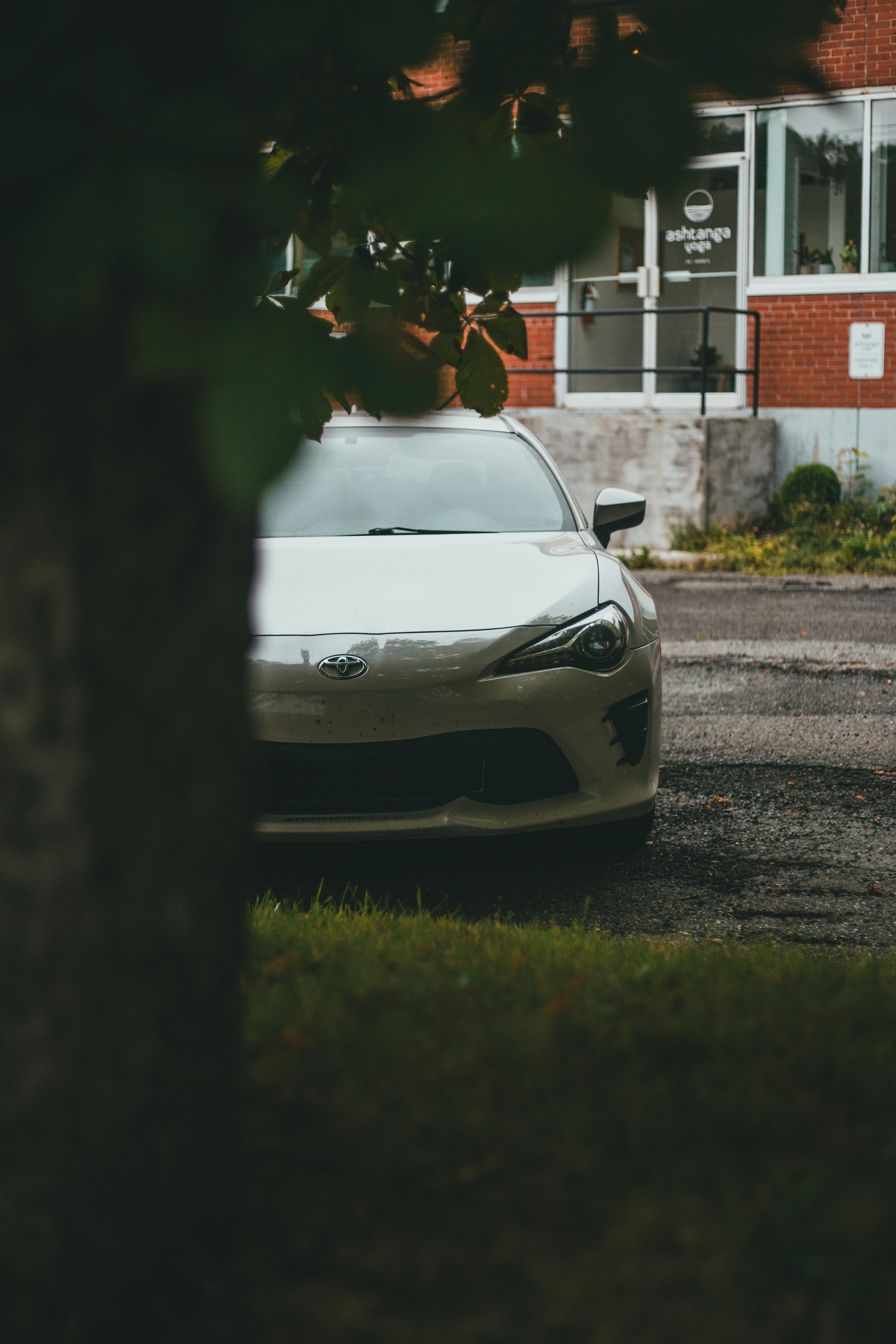 Hidden Carfront: A Silver Toyota Emerges from the Shadow of a Tree