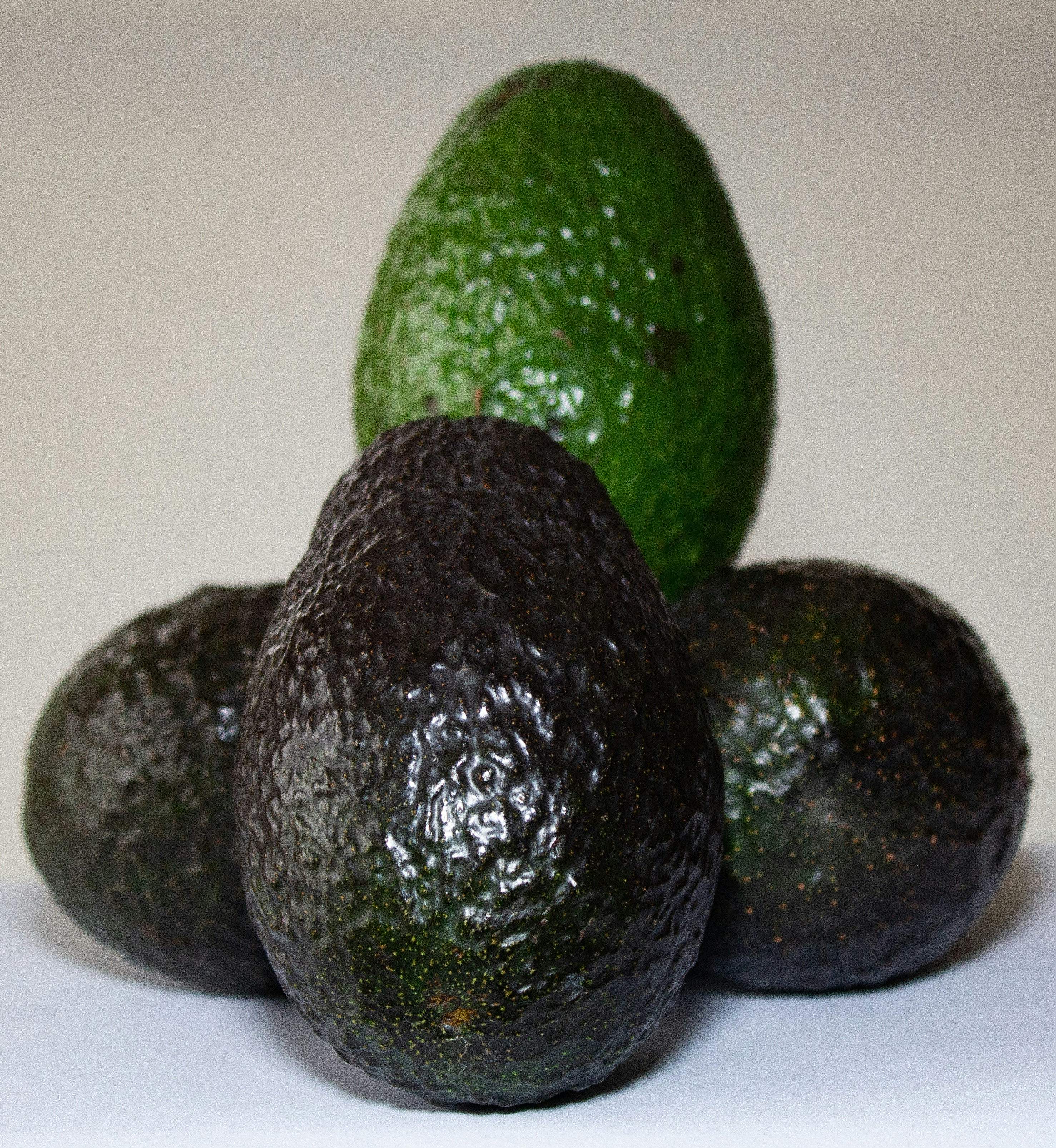 3 green round fruits on white surface photo – Free Avocados Image on ...