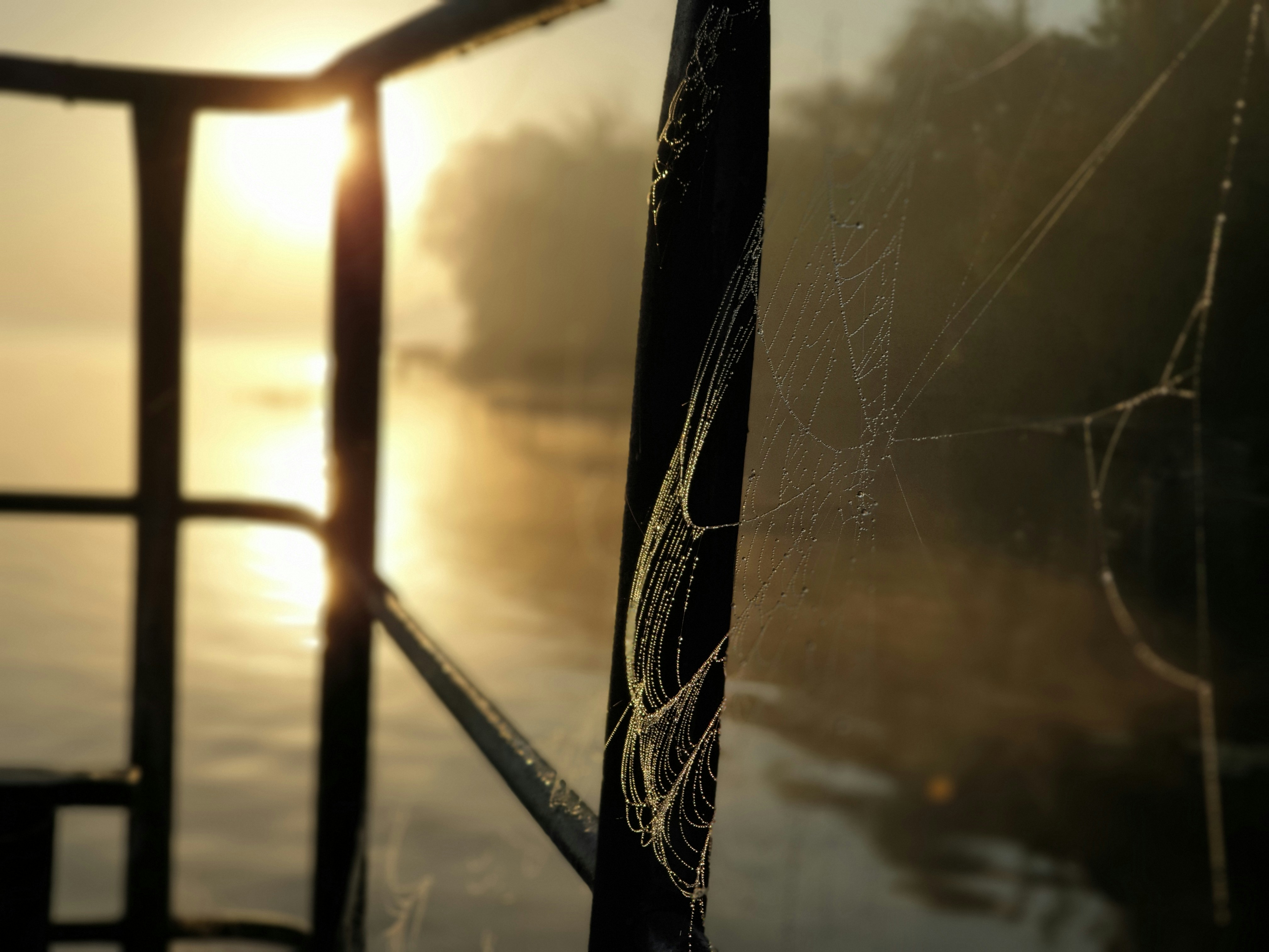 Delicate spiderweb glistening with dew in the early morning light, framed by a misty lakeside view.
