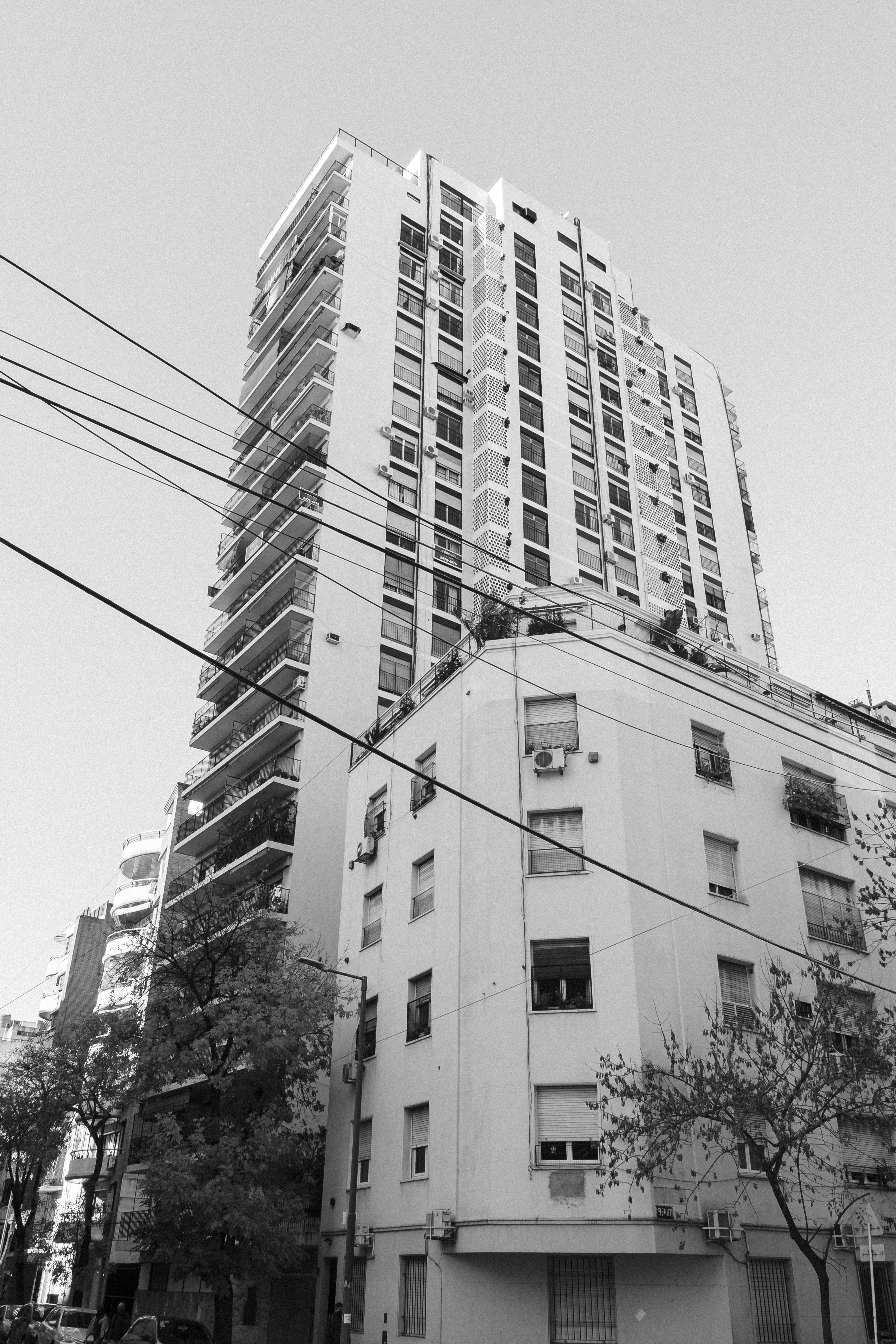 Photo by Mario Amé with Sony Alpha 7C