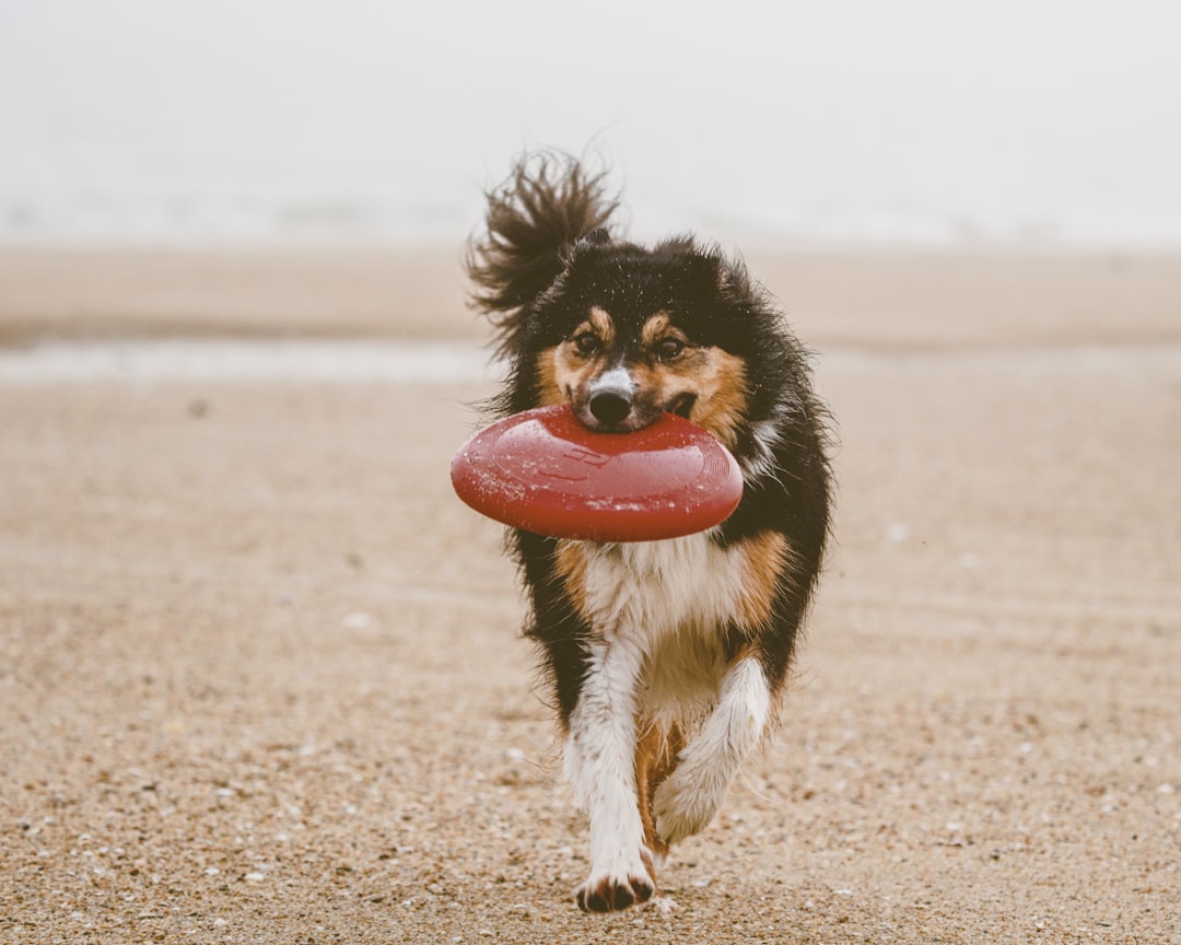 TypeError Failed to Fetch: The Ultimate Guide TypeError Failed to Fetch: The Ultimate Guide