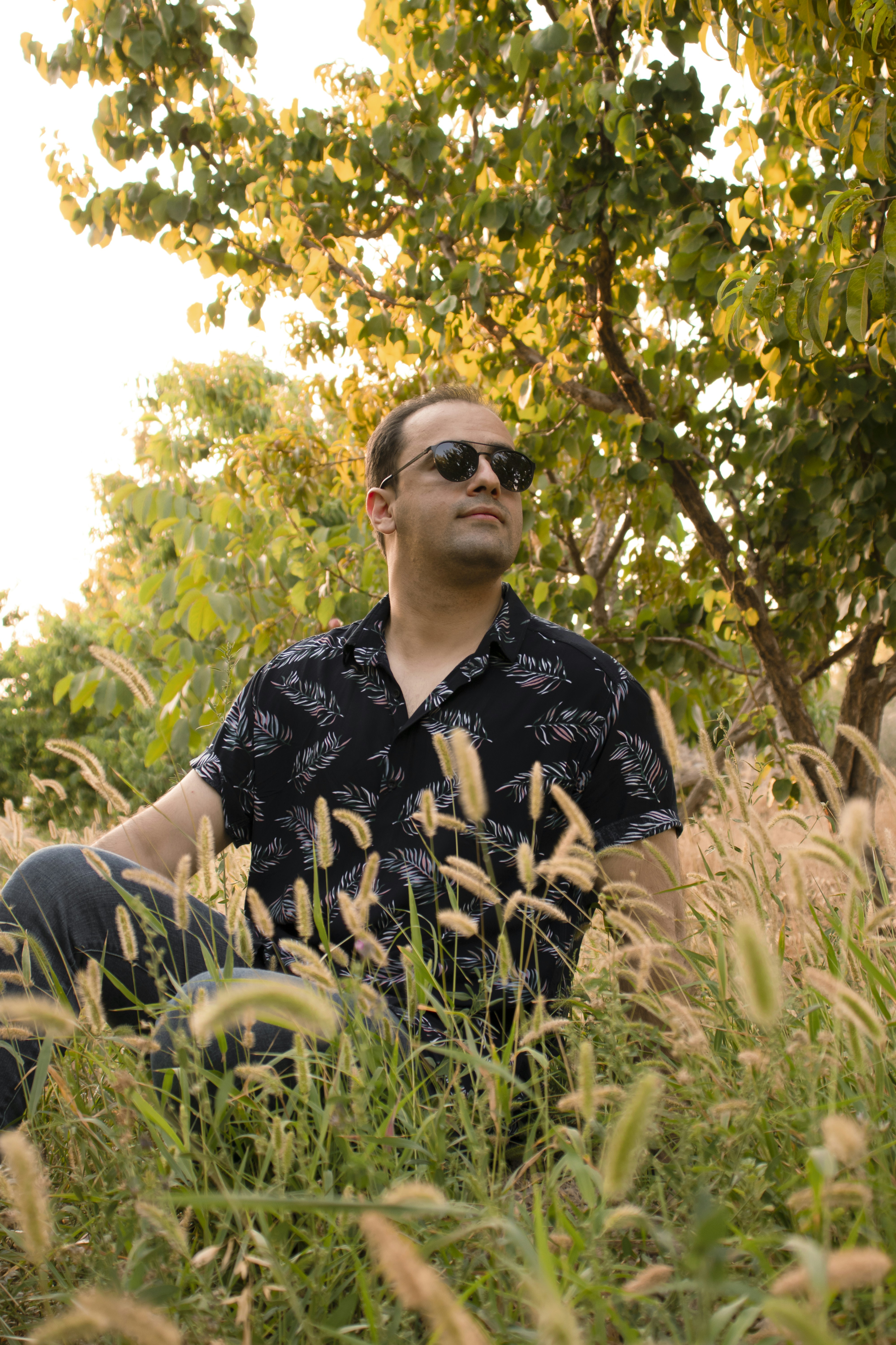 Sunlit Quiet: Portrait Amid Tall Grass and Green Canopy