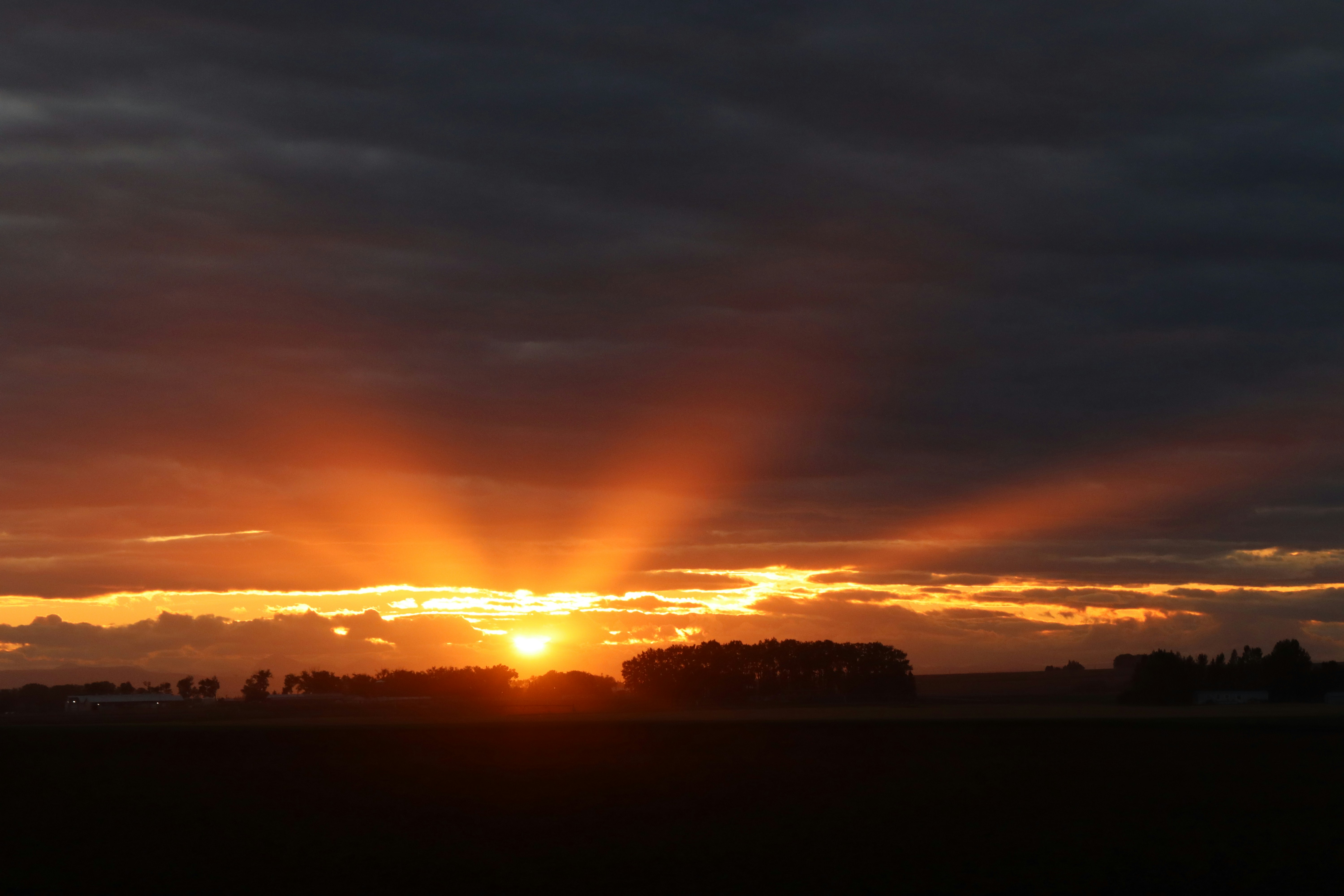 Silhouette of trees during sunset photo – Free Lethbridge Image on Unsplash