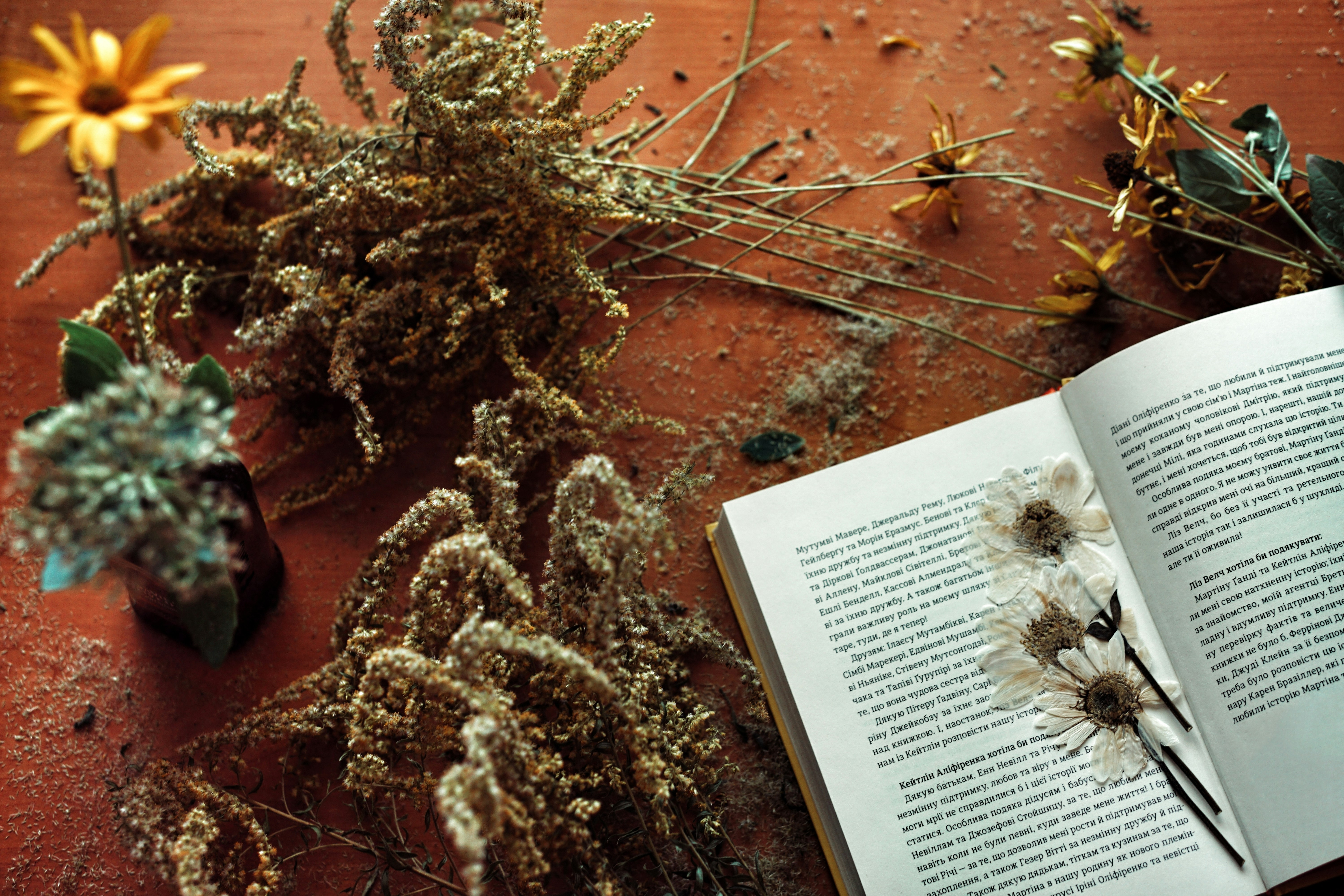 White book page on brown and white textile photo – Free Book Image on ...