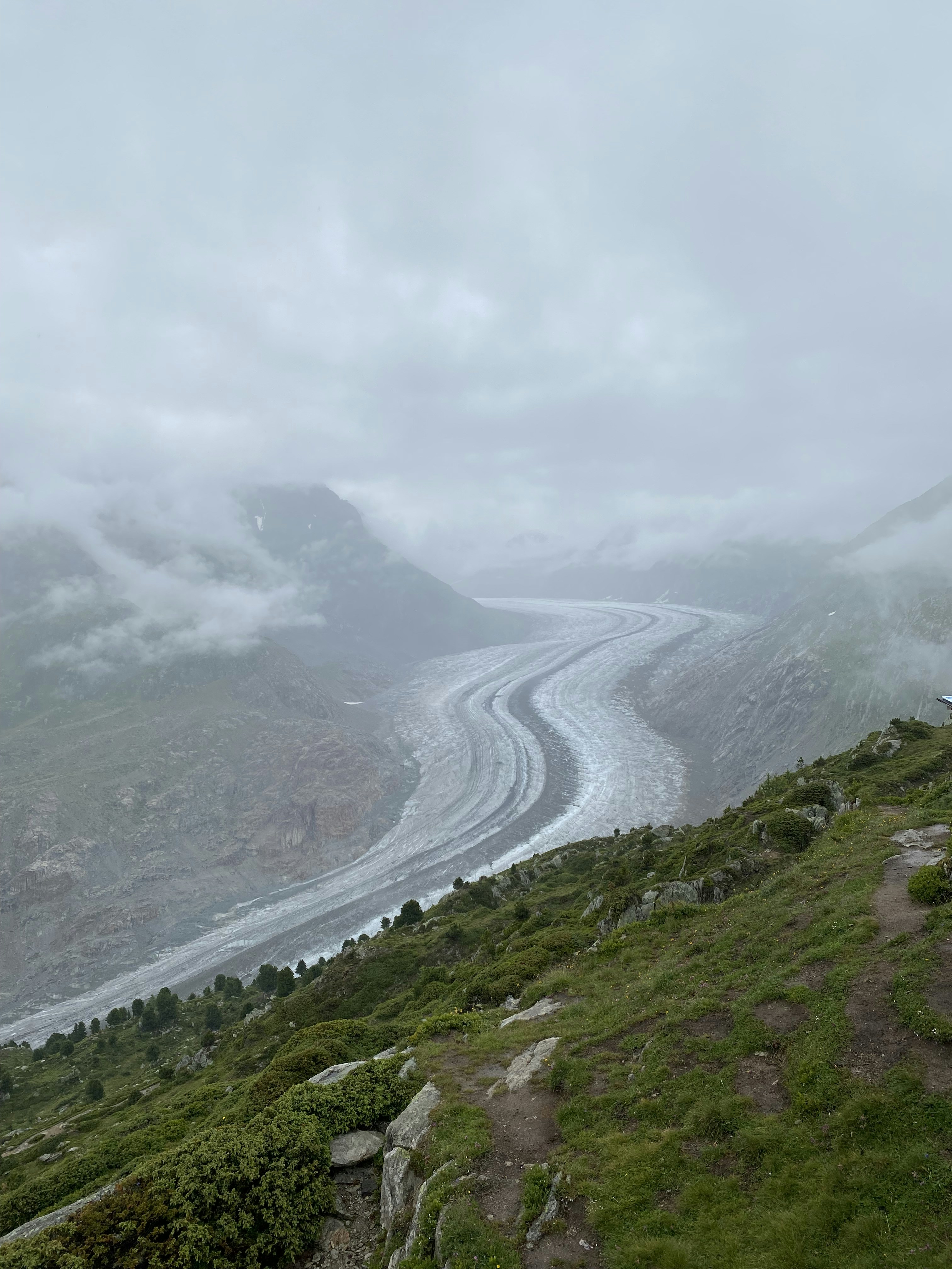 Mist-Lit Alpine Ribbon: A Glacier River Winding Through Green Slopes