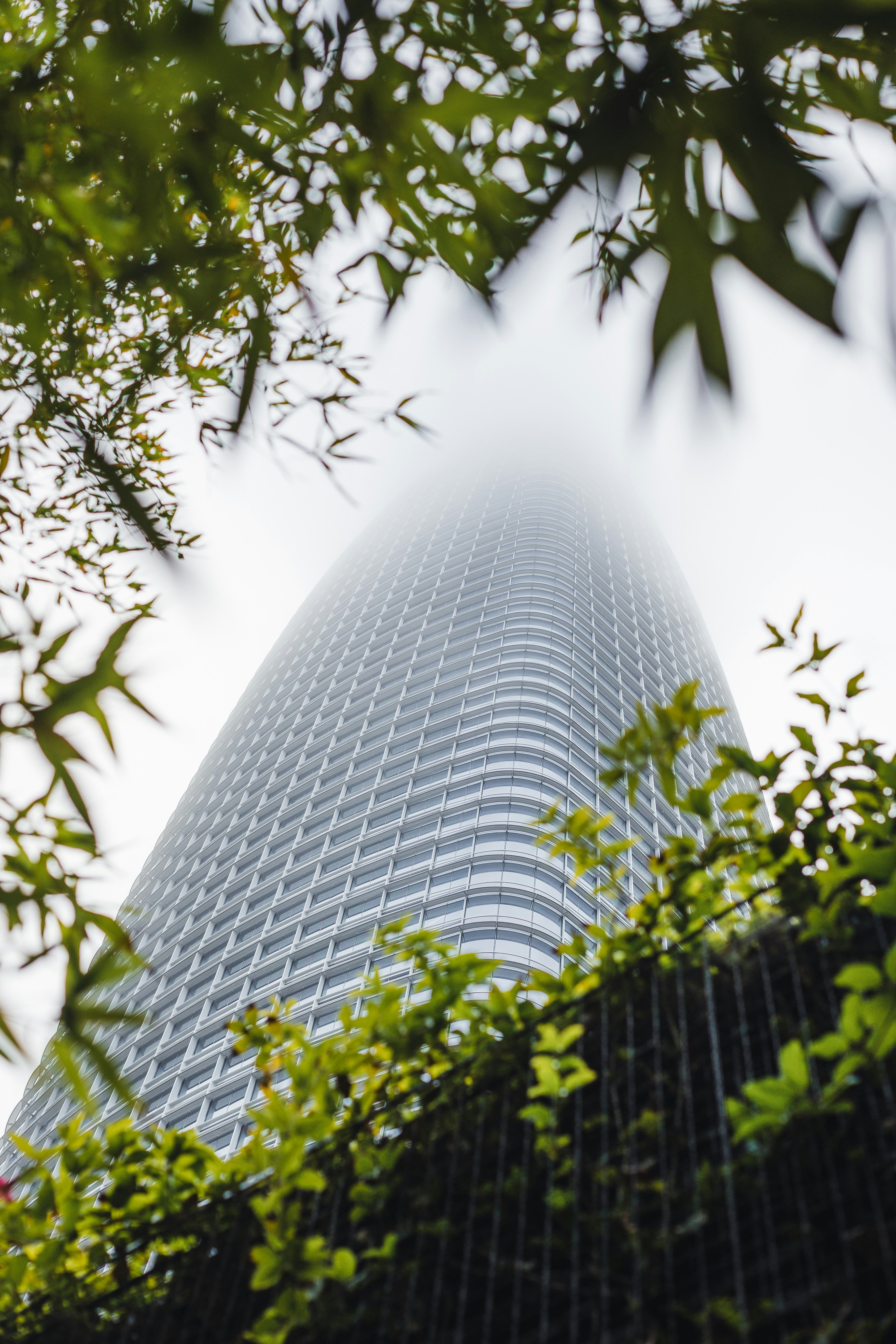 Green leaves and white round building photo – Free Building Image on ...