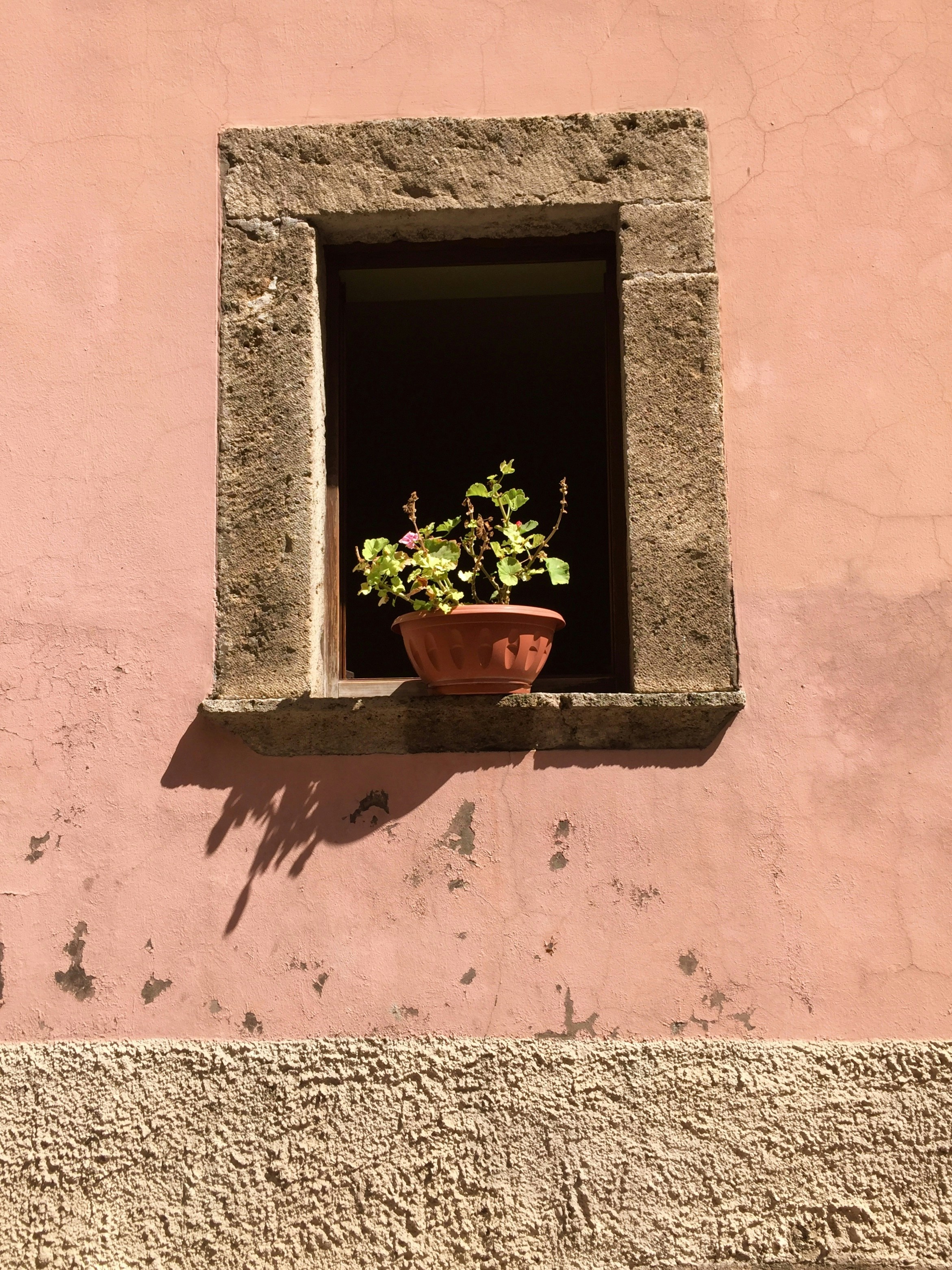 Sunlit Terracotta Pot on a Pink Window Sill
