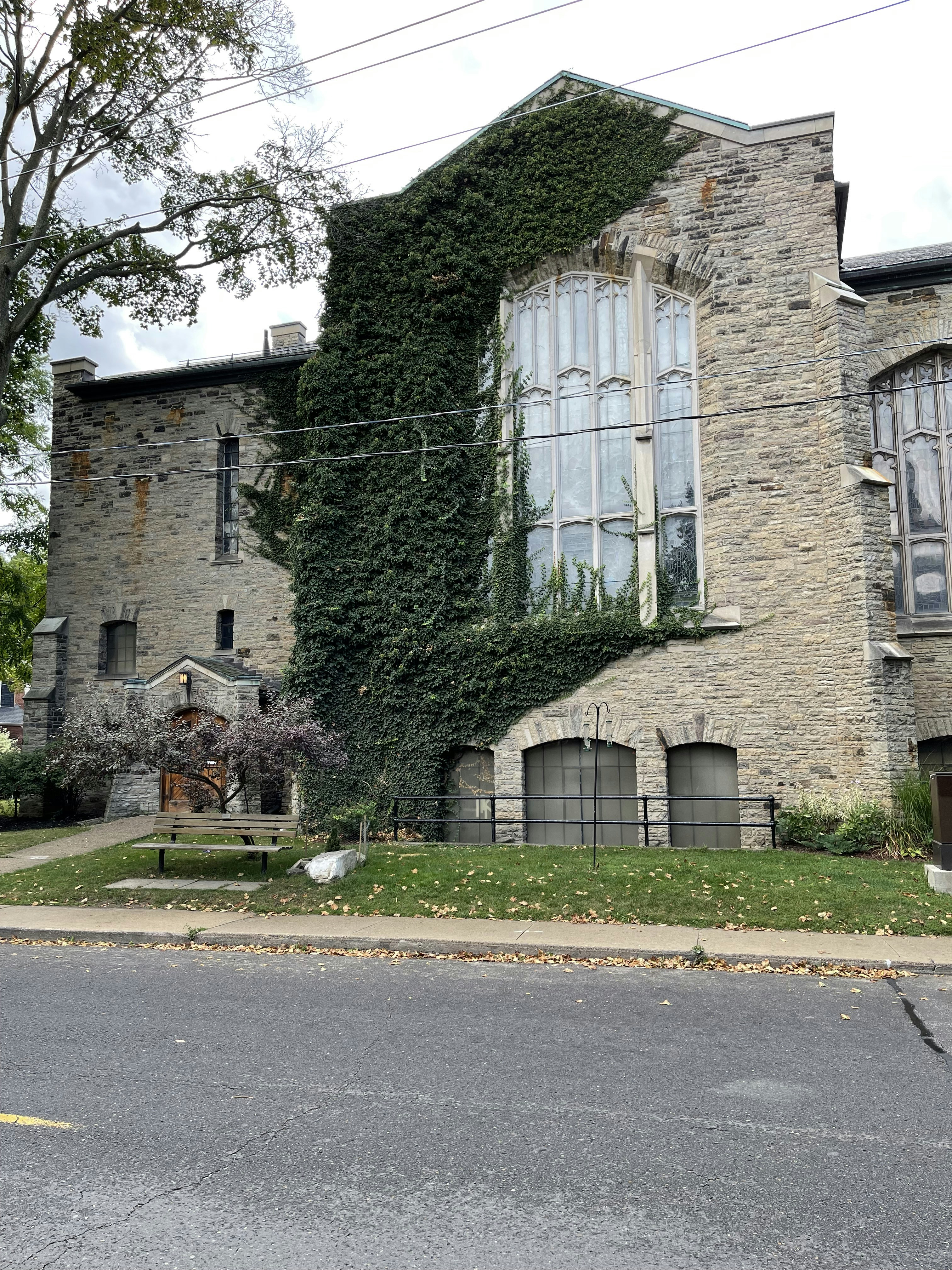 Ivied Gothic Facade: A Quiet Street Landscape