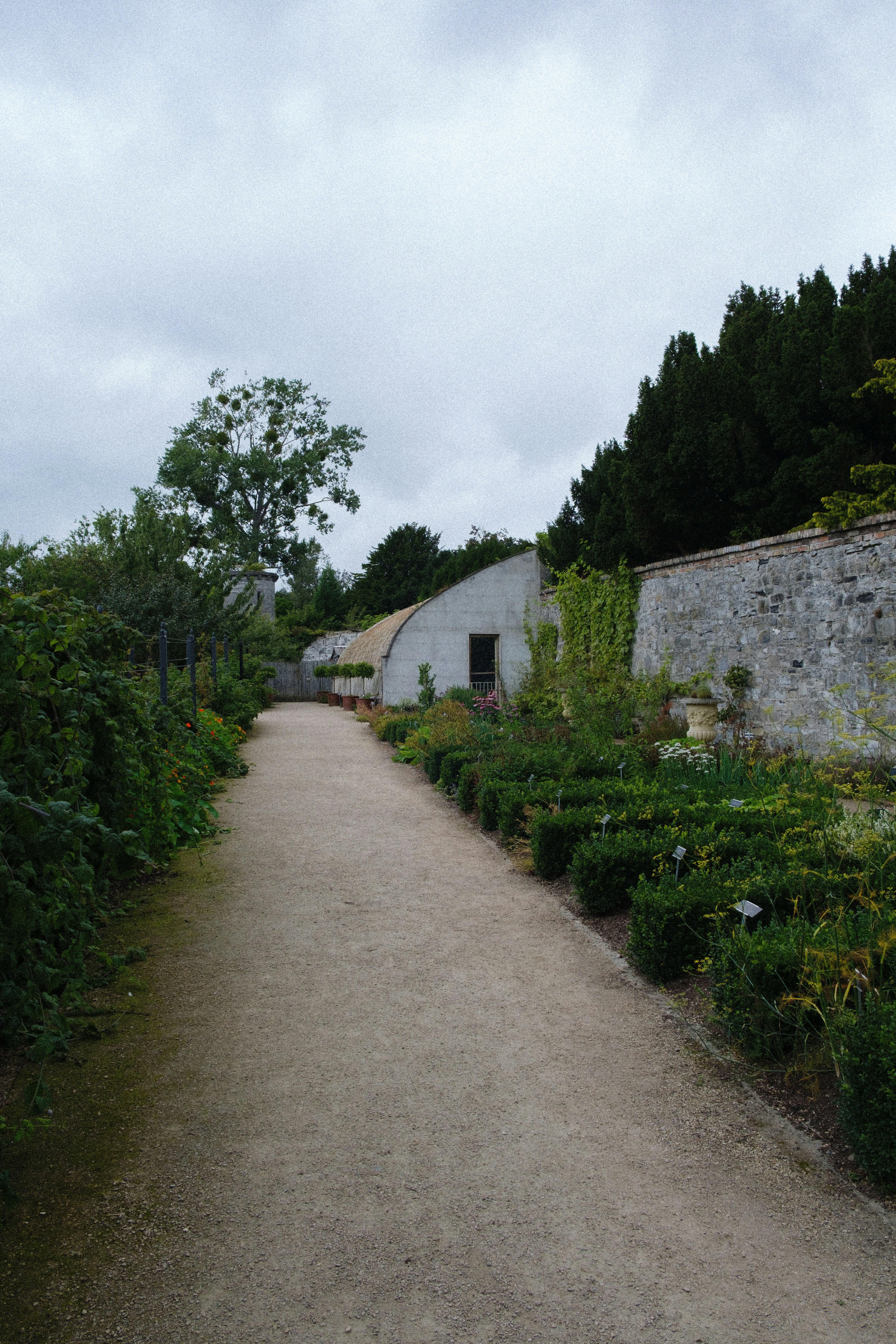 A tranquil garden pathway lined with lush greenery and a rustic stone wall, leading towards a distant structure under a cloudy sky.